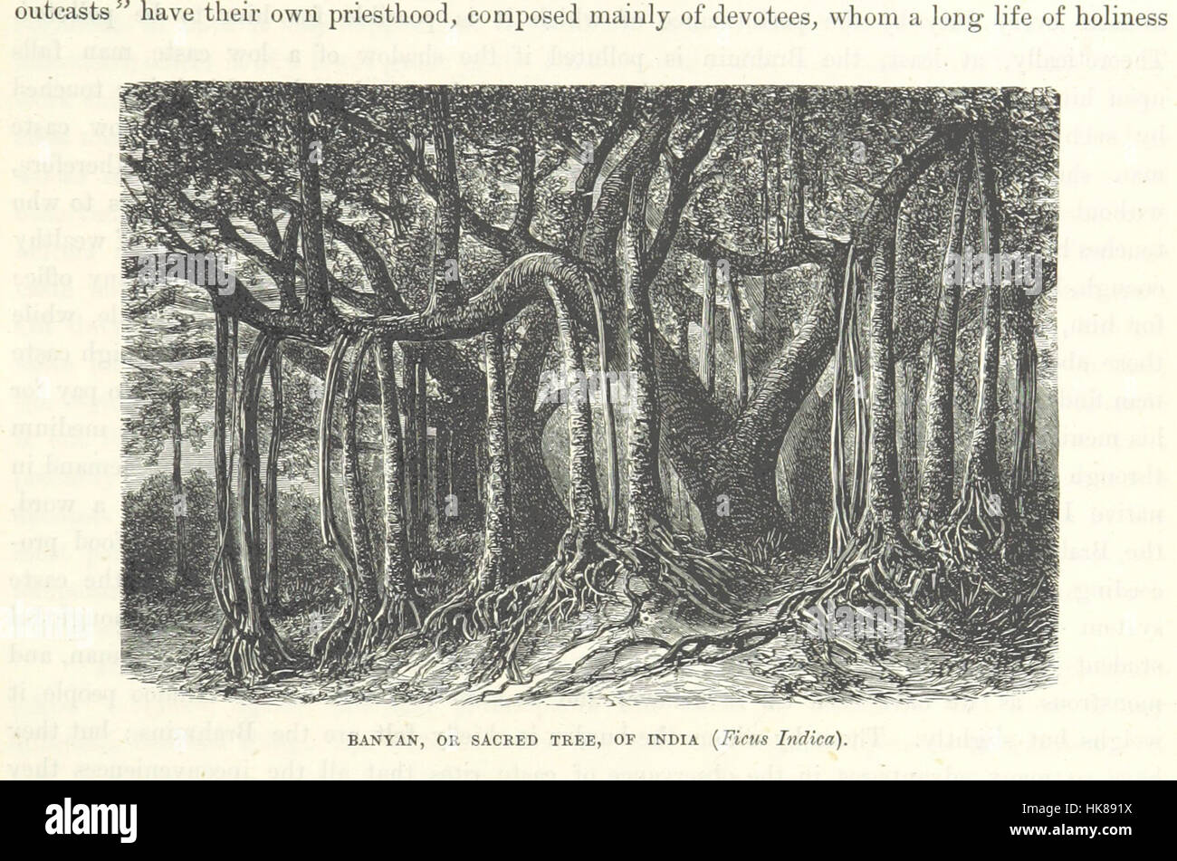 A page from 'The Races of Mankind,' describing the characteristics ...