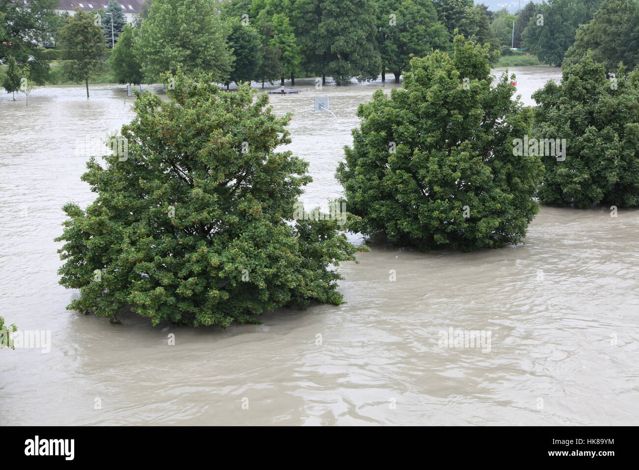 thunder-storm, flood, nature, rain, raining, environment, enviroment ...
