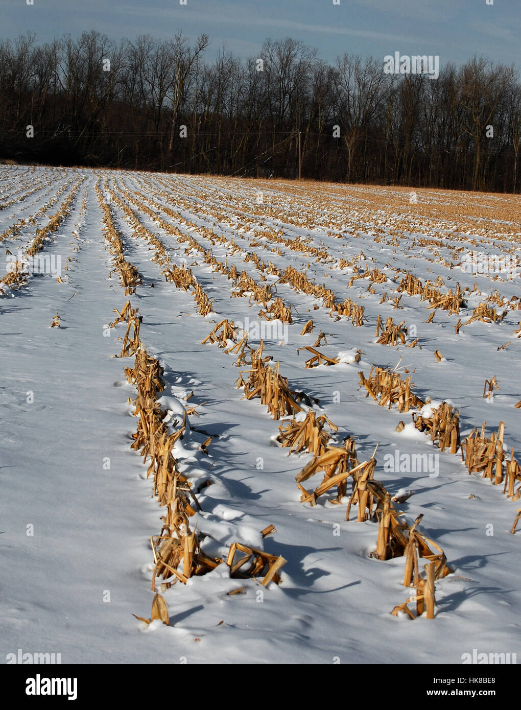 winter, snow, coke, cocaine, material, drug, anaesthetic, addictive ...