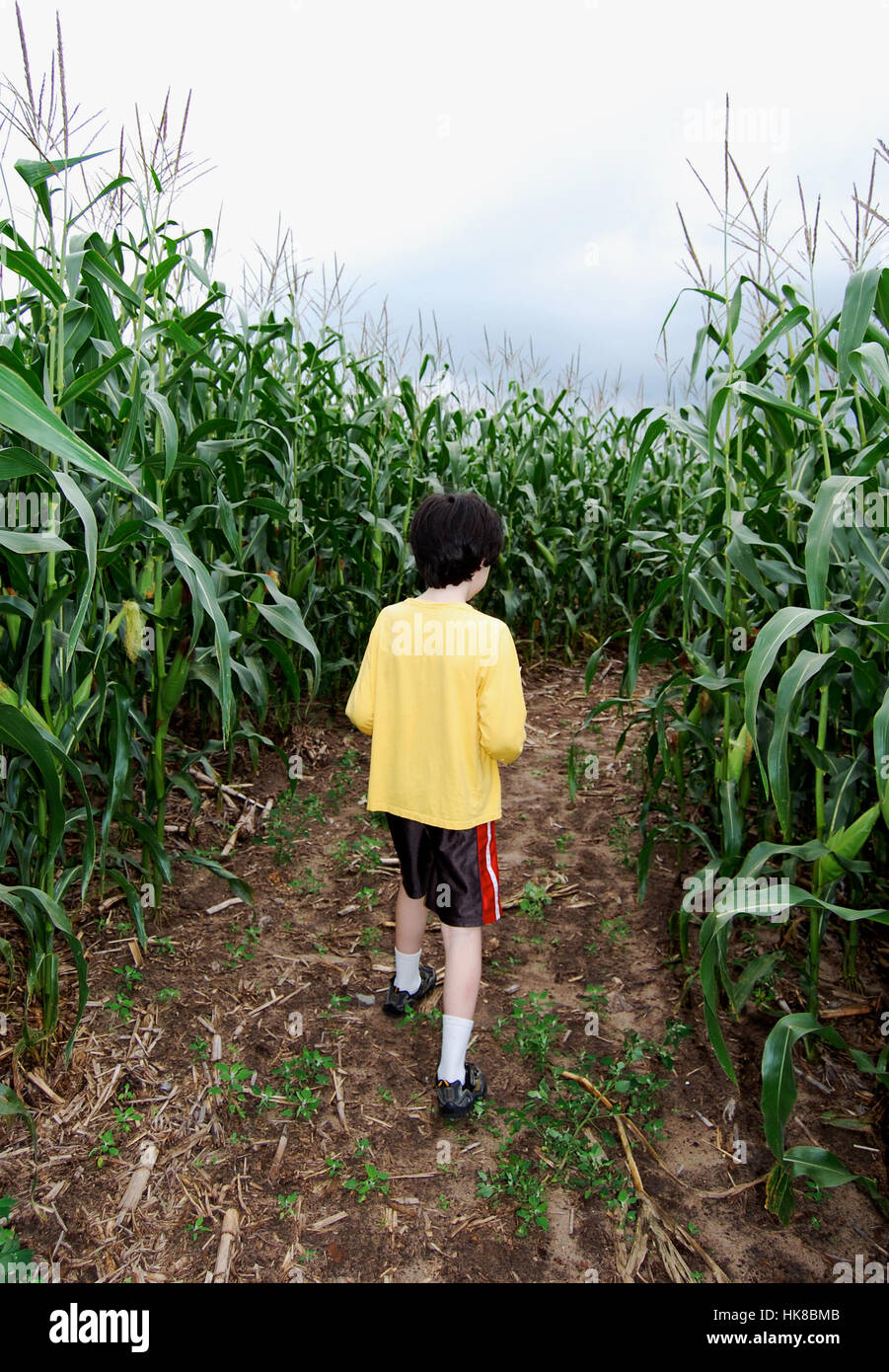 walk, go, going, walking, male, masculine, agriculture, farming, field ...