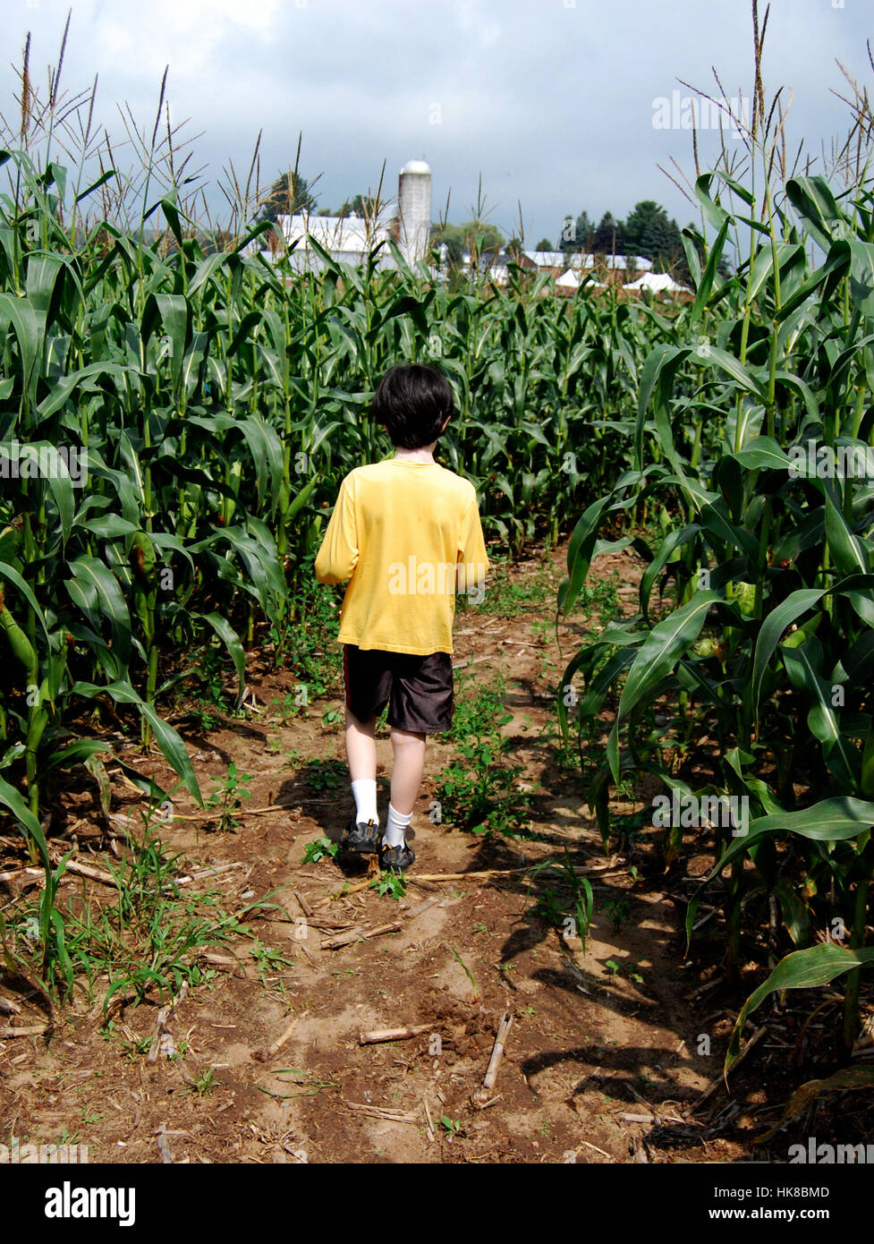 walk, go, going, walking, male, masculine, agriculture, farming, field ...