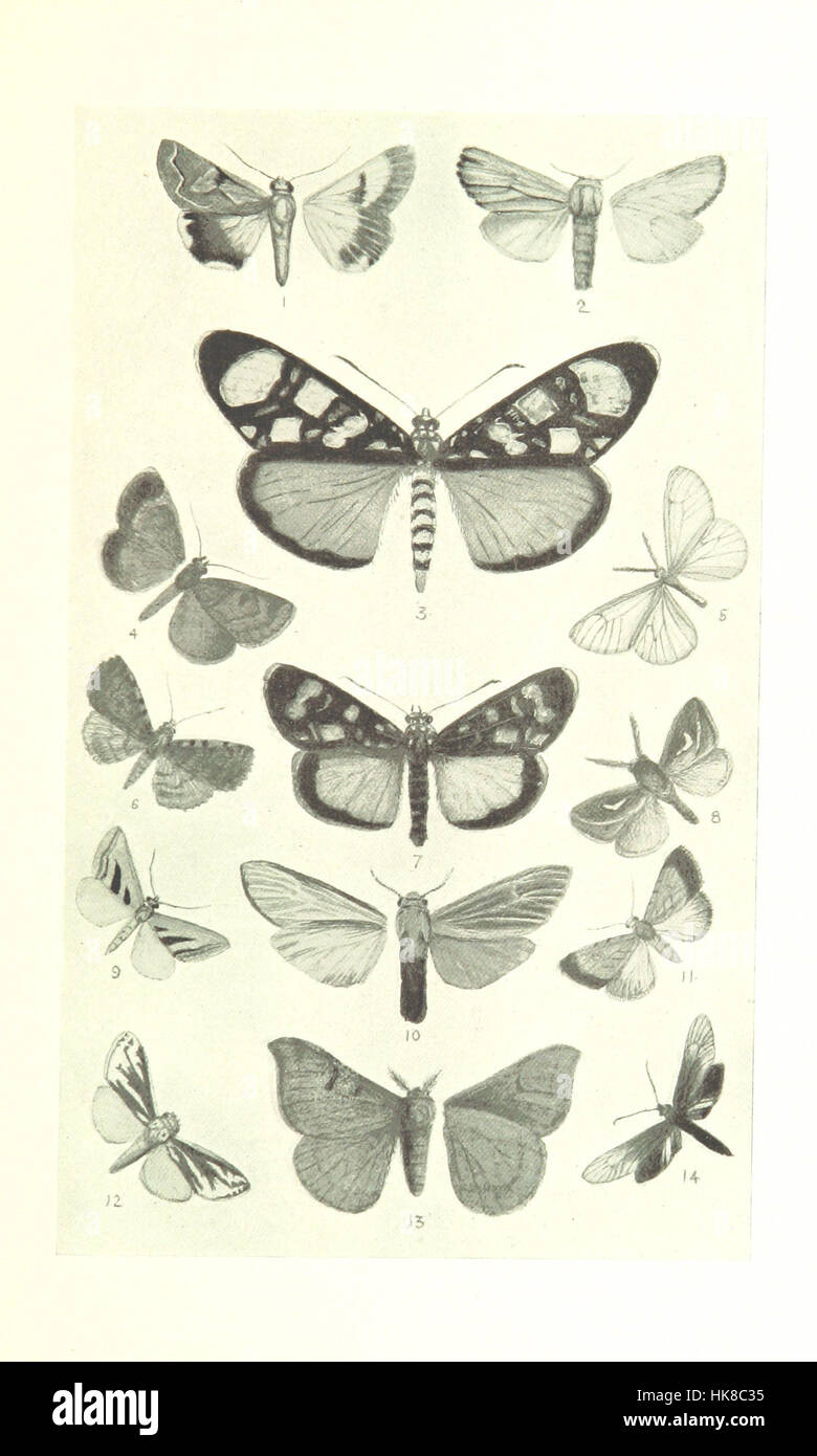 Image from 'Through Unknown African Countries,' documenting the first ...