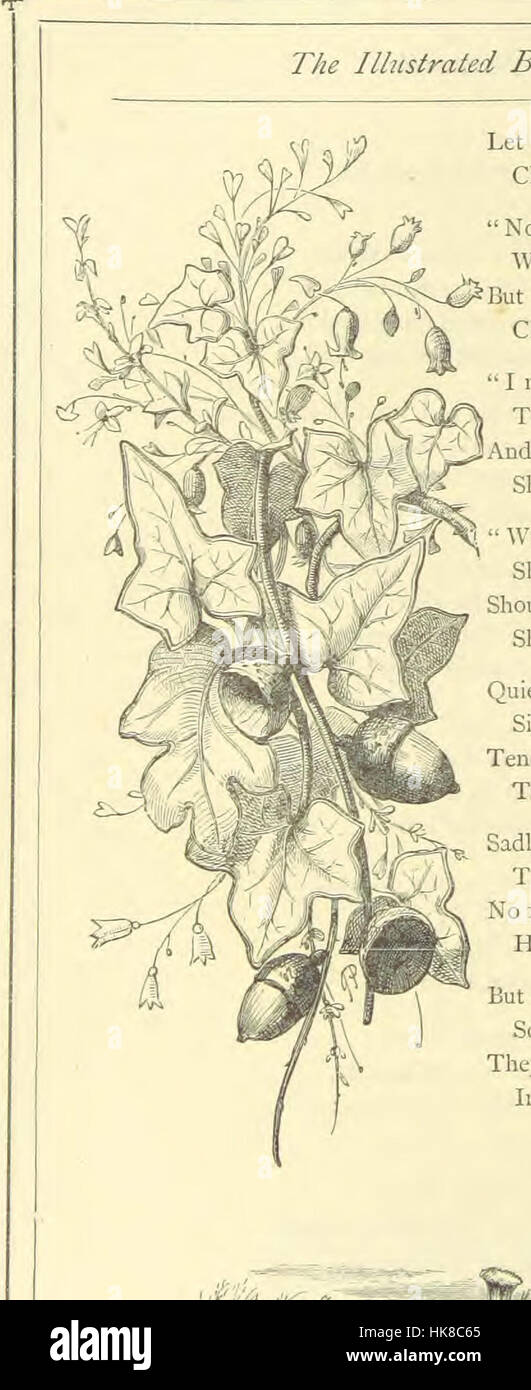 Illustration from 'The Illustrated Book of Sacred Poems,' featuring ...