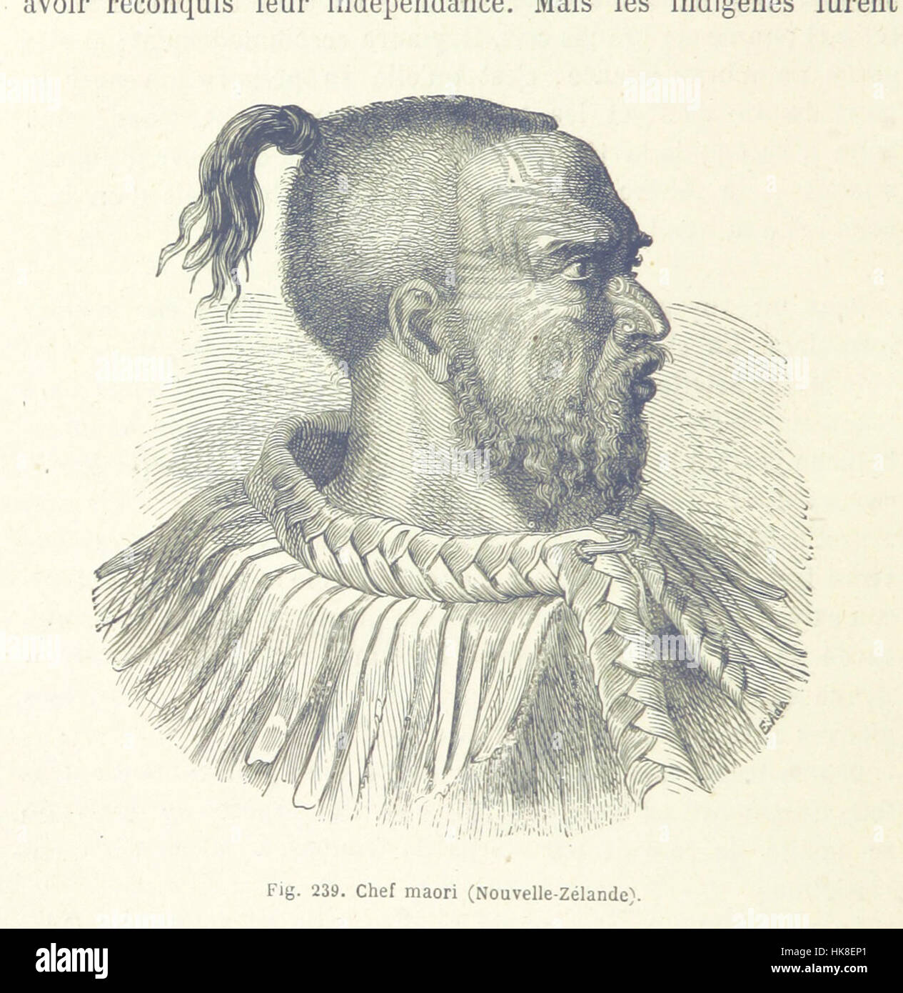 Image from 'Les Races Humaines,' illustrating human races through 334 ...