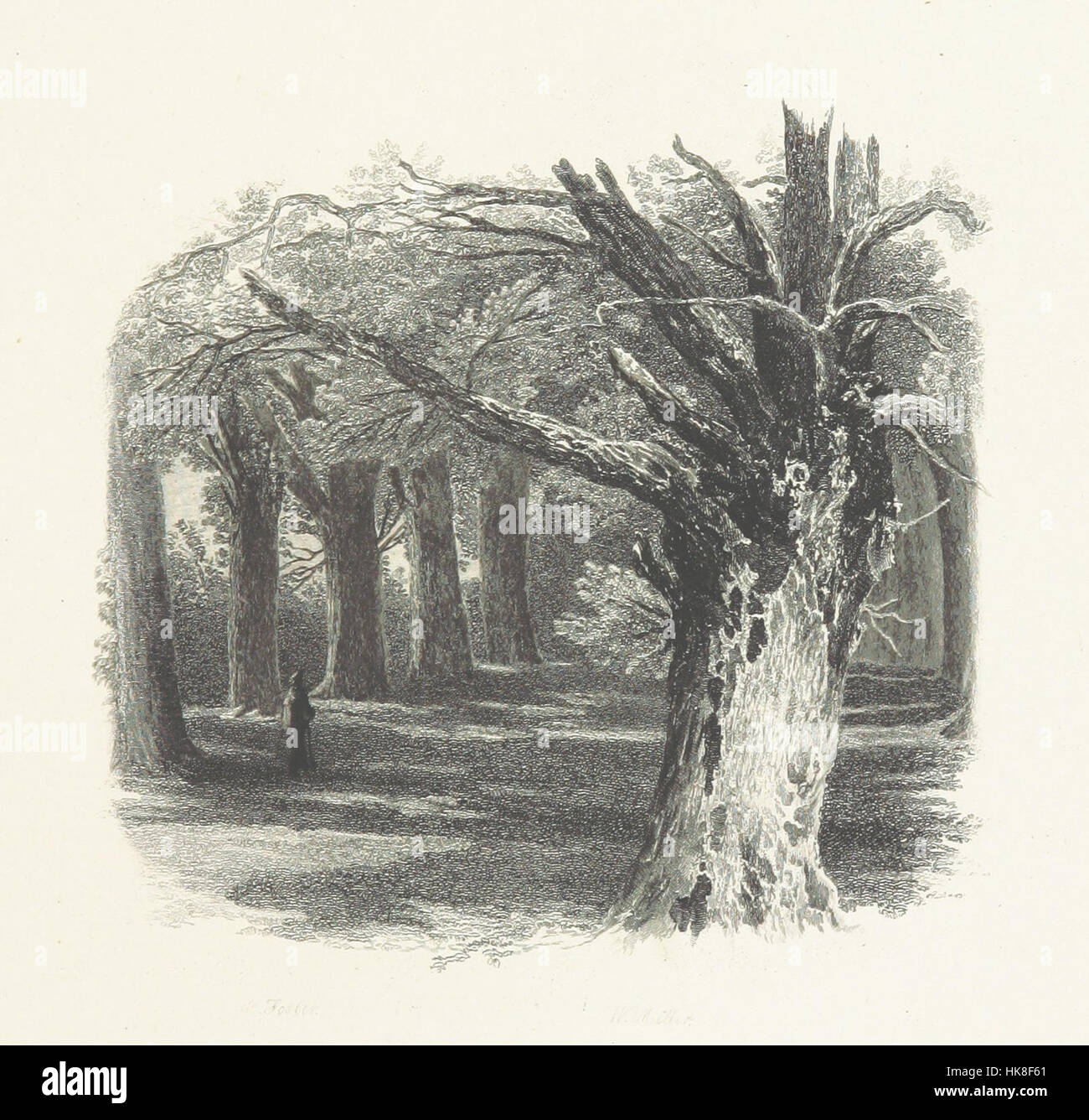 Image from a collection of poems illustrated by Birket Foster ...