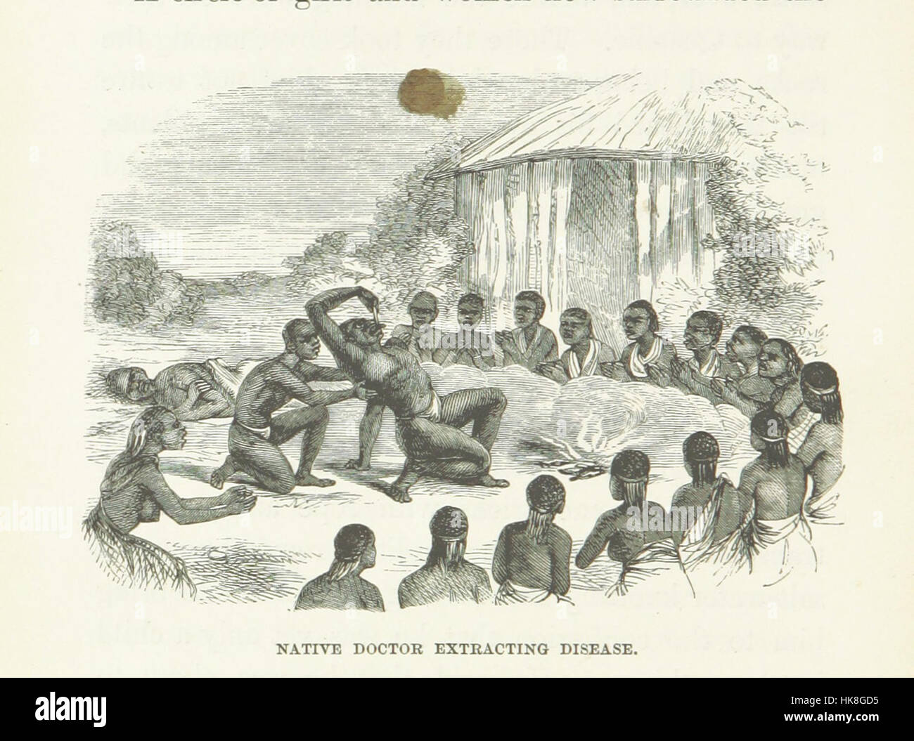 The image from 'Explorations in South-West Africa' depicts the journey ...