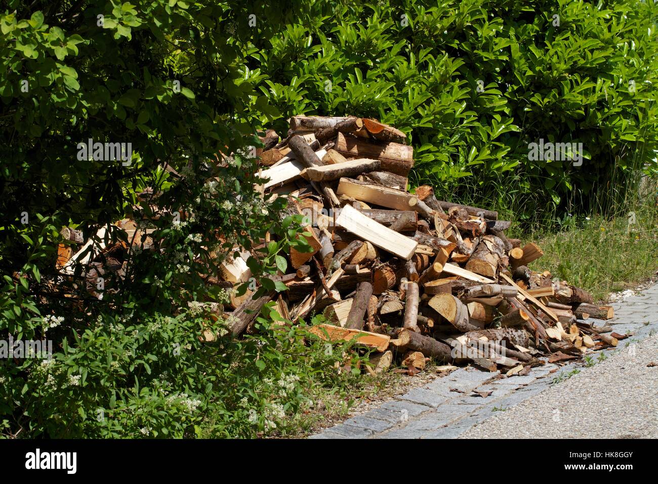 wood, fuel, utilization, firewood, wood, fuel, utilization, firewood ...