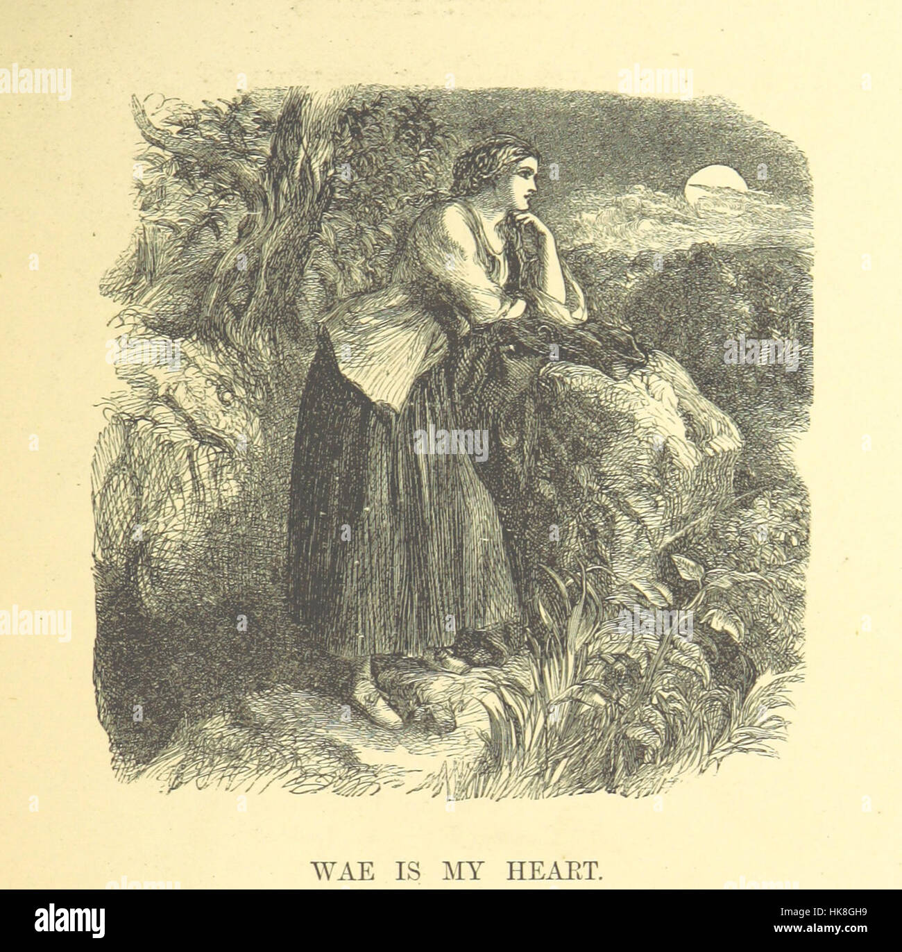 An image from 'The Illustrated Family Burns,' featuring engravings ...
