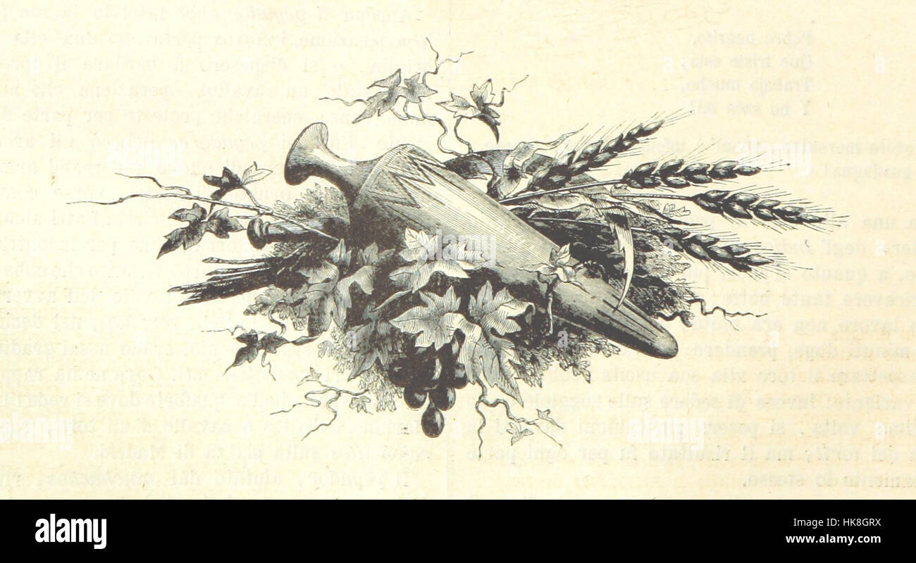 Image taken from page 486 of 'Viaggio in Ispagna'. The illustration ...