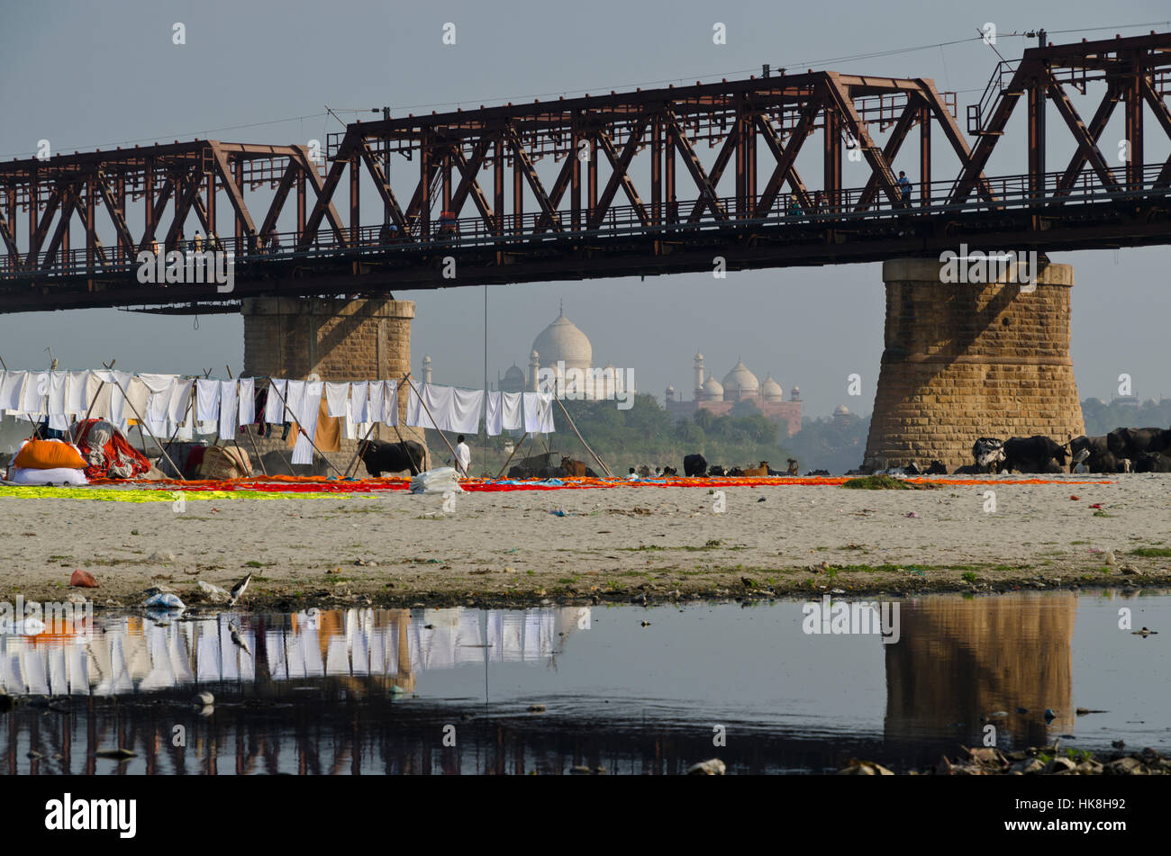 The Dhobis, the loundry workers, doing theyre work on the banks of ...