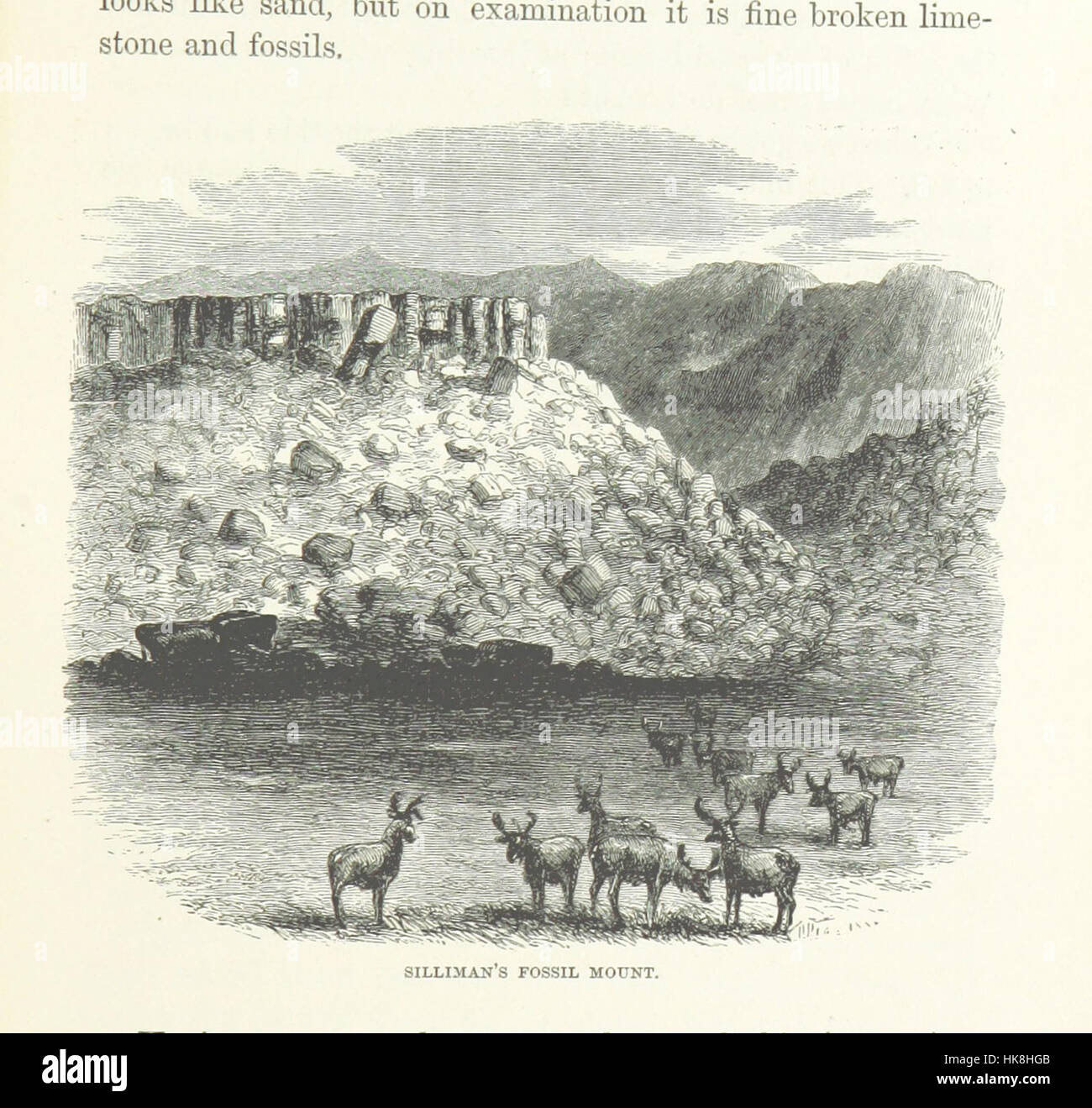 An image from page 491 of 'Life with the Esquimaux,' recounting Captain ...