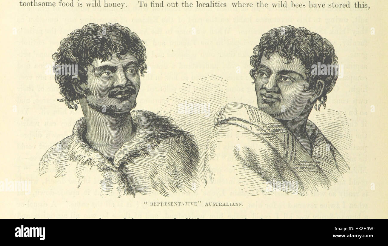 Principal varieties of mankind hi-res stock photography and images - Alamy