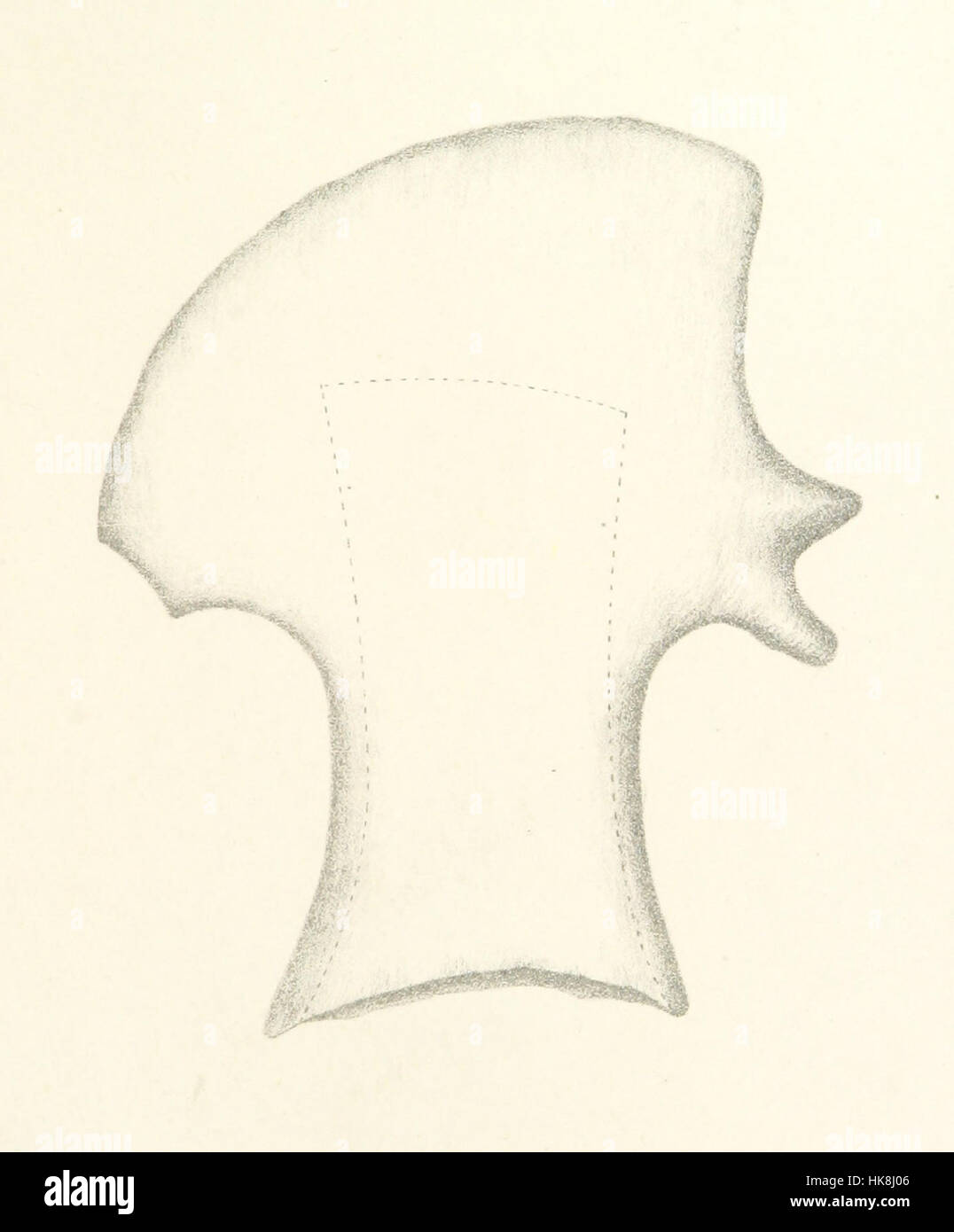 A Report on the Expedition to Western Yunan viâ Bhamô. [With maps ...