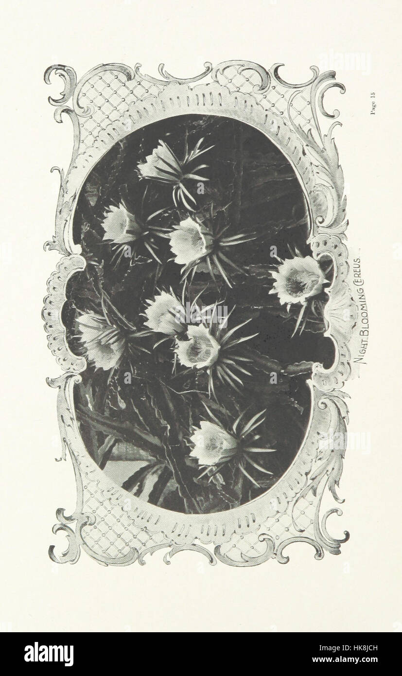 A page from 'Hawaii: Our New Possessions', detailing the acquisition of ...