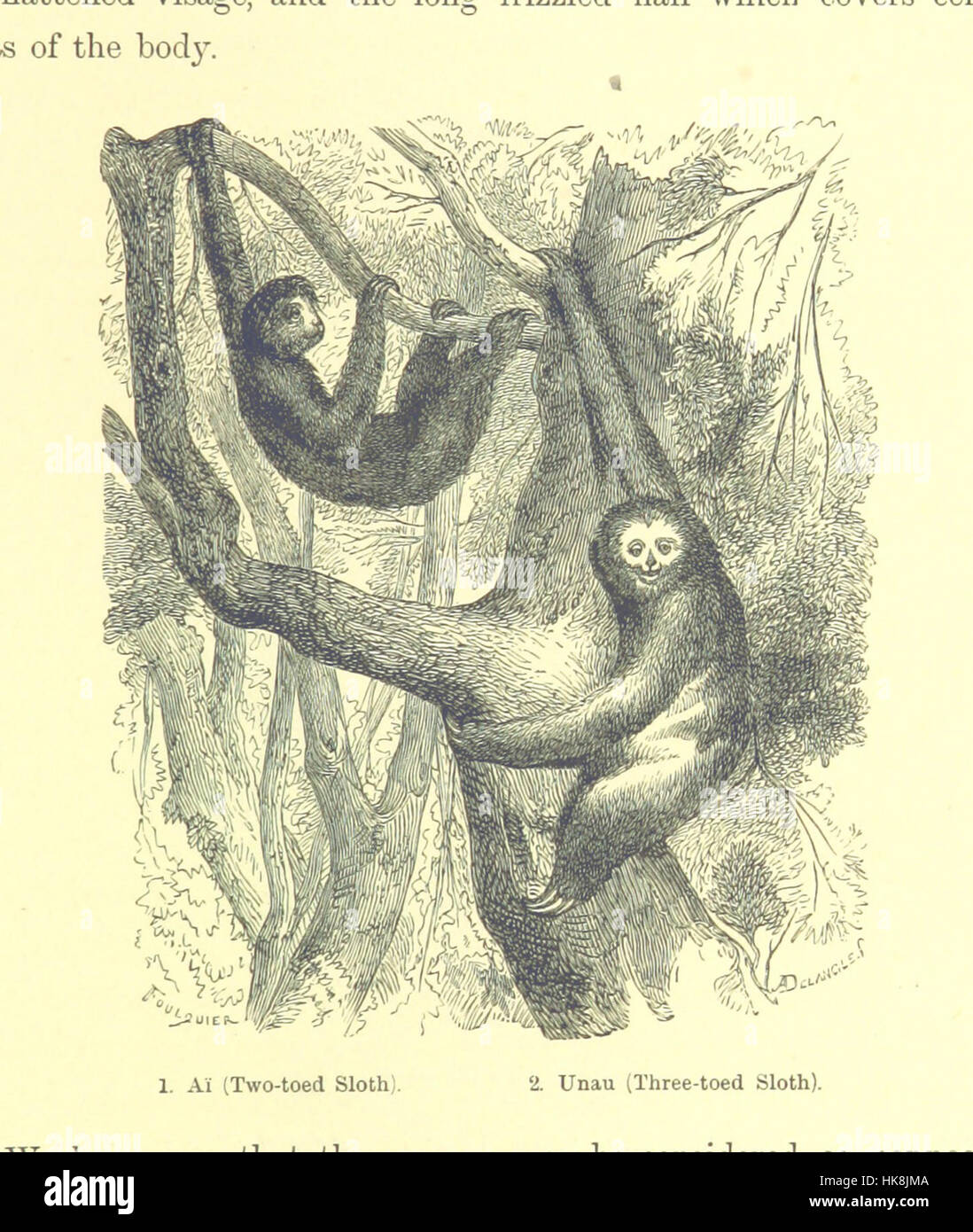 Illustration from 'The Desert World' depicting the vast and barren ...