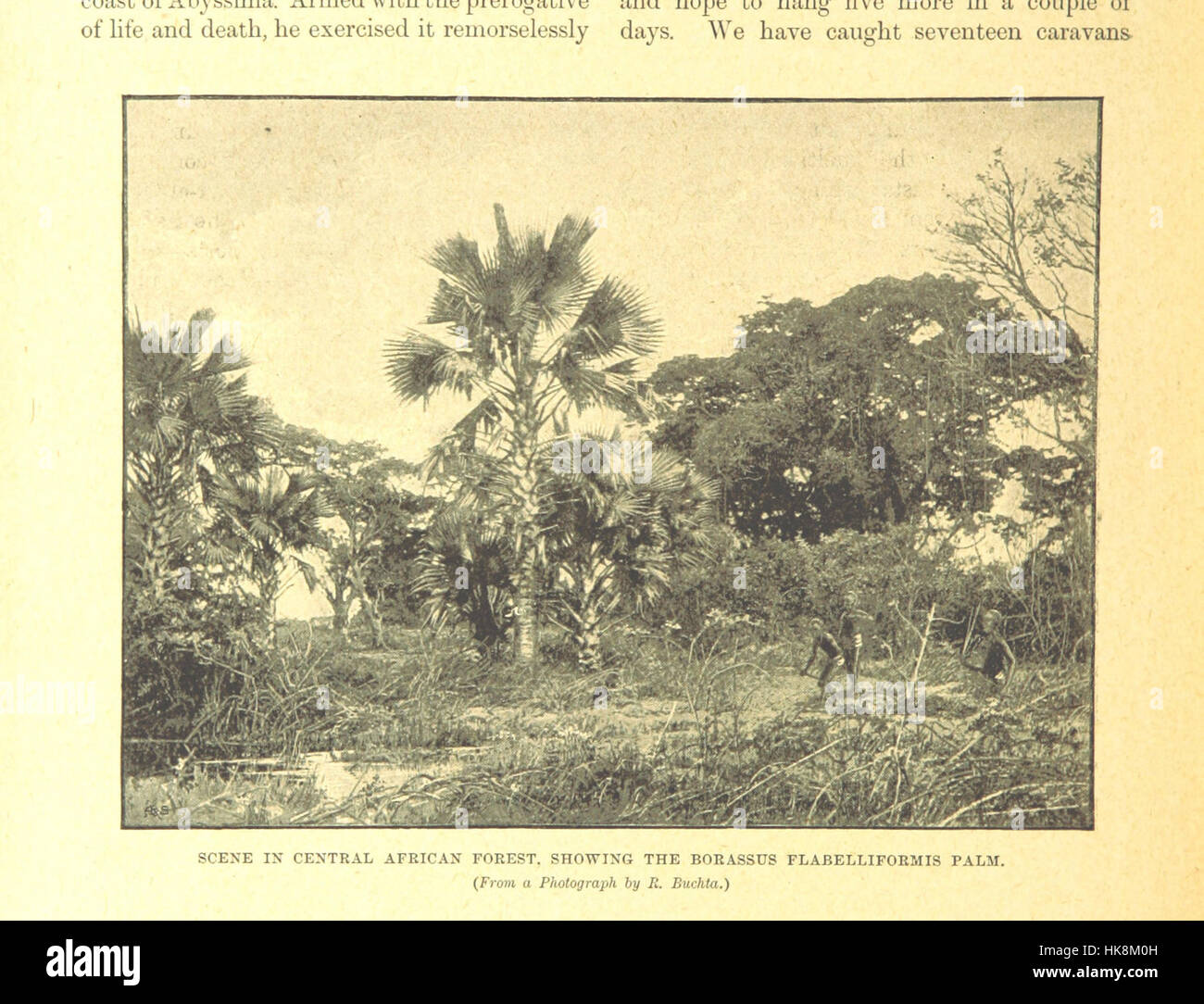 An image from 'The Story of Africa and its Explorers', showing an ...