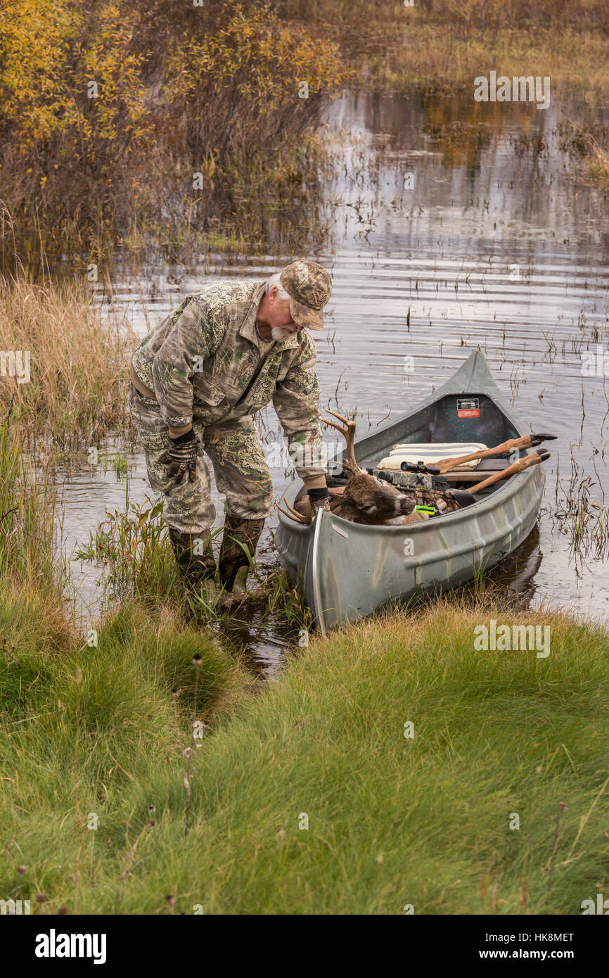 Successful bowhunter returning, in a canoe, with his 8-point buck Stock ...