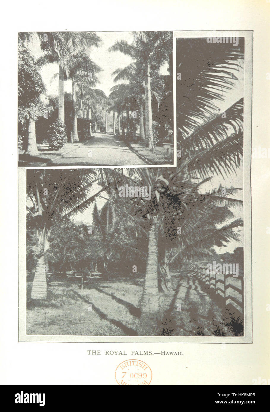 Image from 'The History of American Expansion,' detailing the history ...