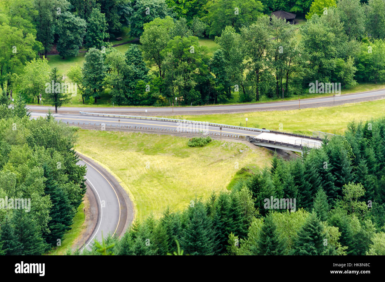 forest, river, water, nature, interchange, exchanging, travel, tree ...
