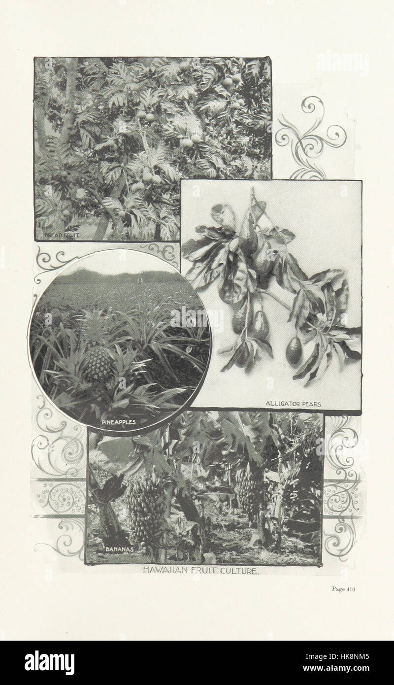Image showing a page from 'Hawaii: Our New Possessions', illustrating ...