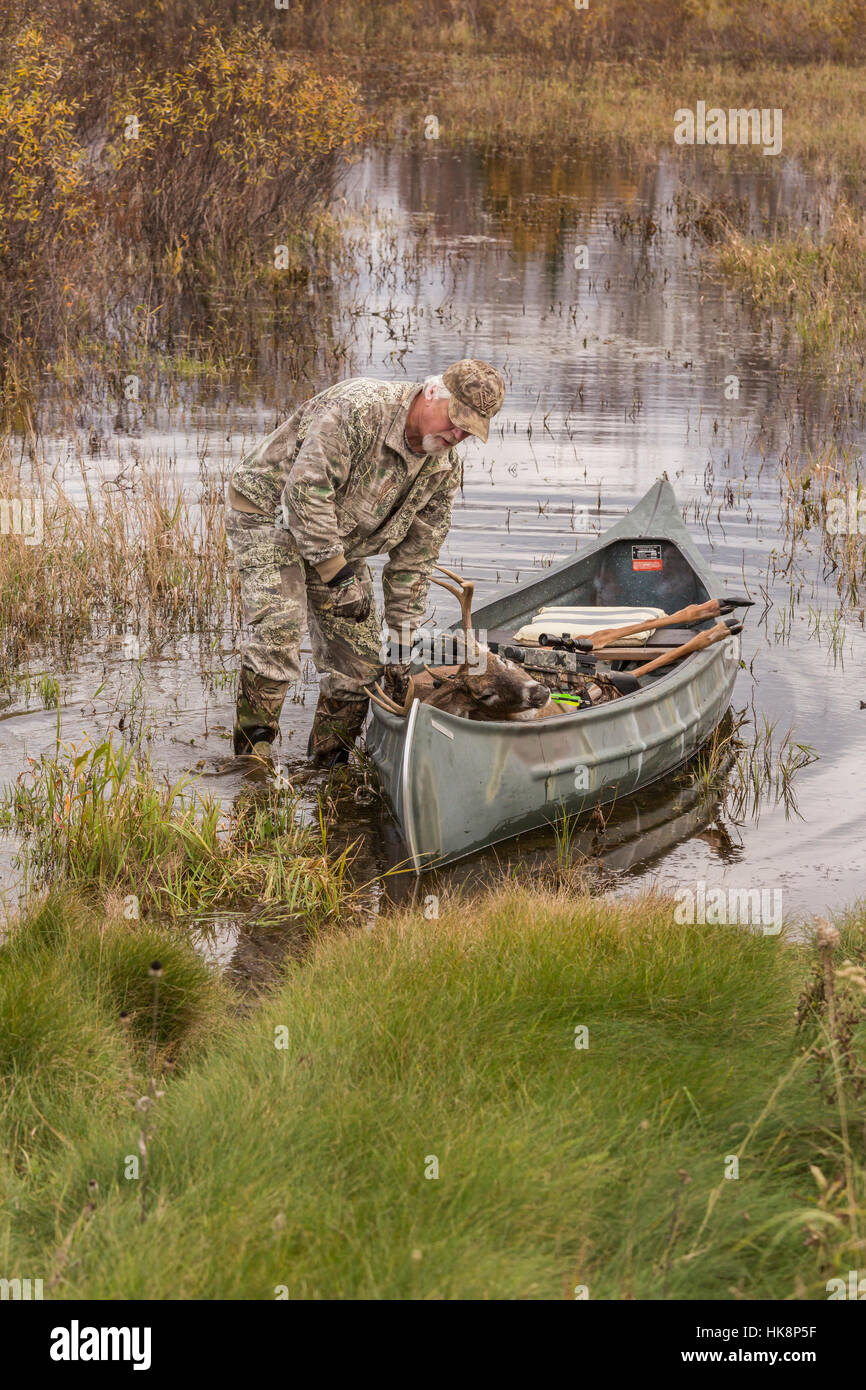 Successful bowhunter returning, in a canoe, with his 8-point buck Stock ...