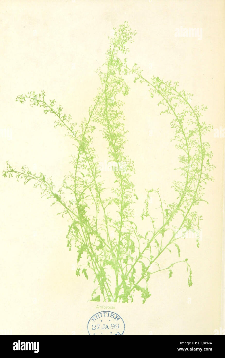 Image from page 548 of 'Home Life in Colonial Days', showing an ...