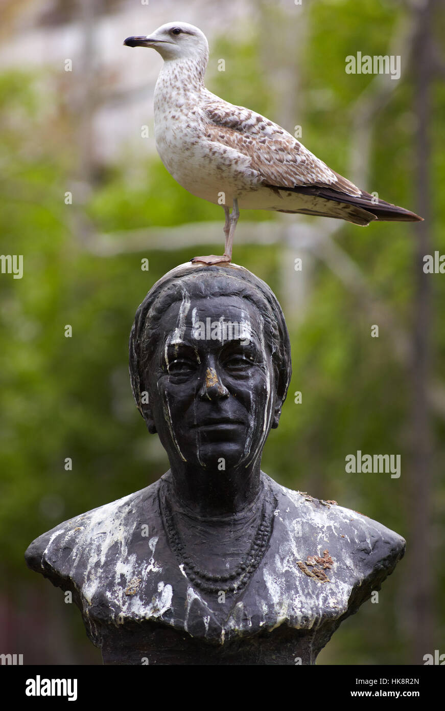 monument, art, statue, sculpture, monument, art, animal, bird, statue ...