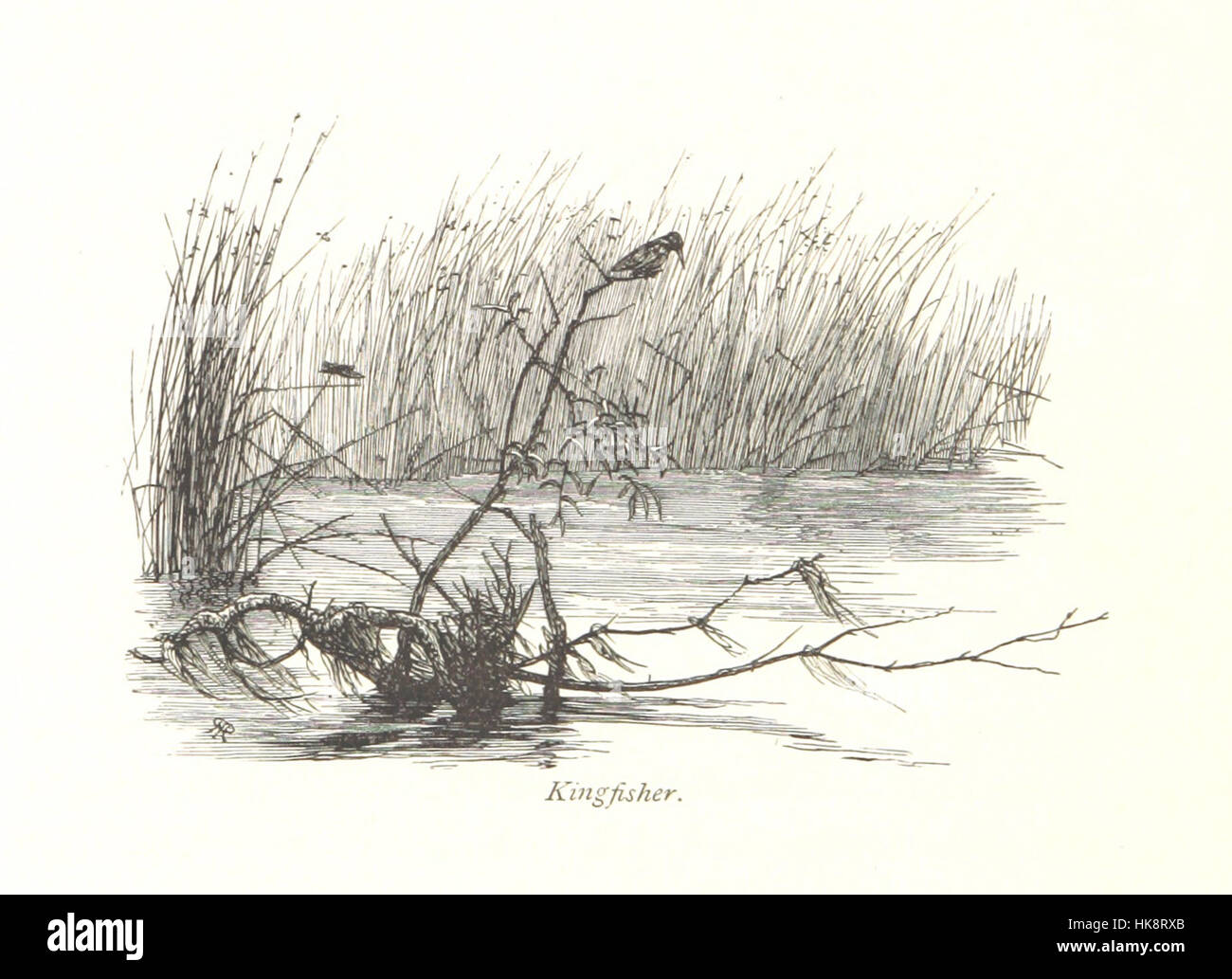Image from 'Life on the Upper Thames', showing scenes of daily life ...