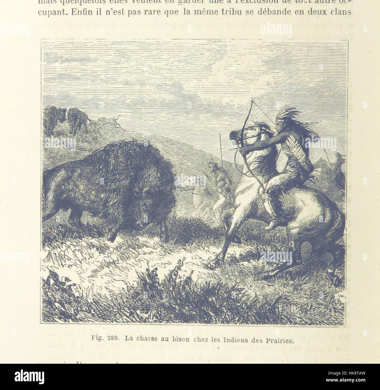 An image from 'Les Races Humaines,' depicting human races through 334 ...