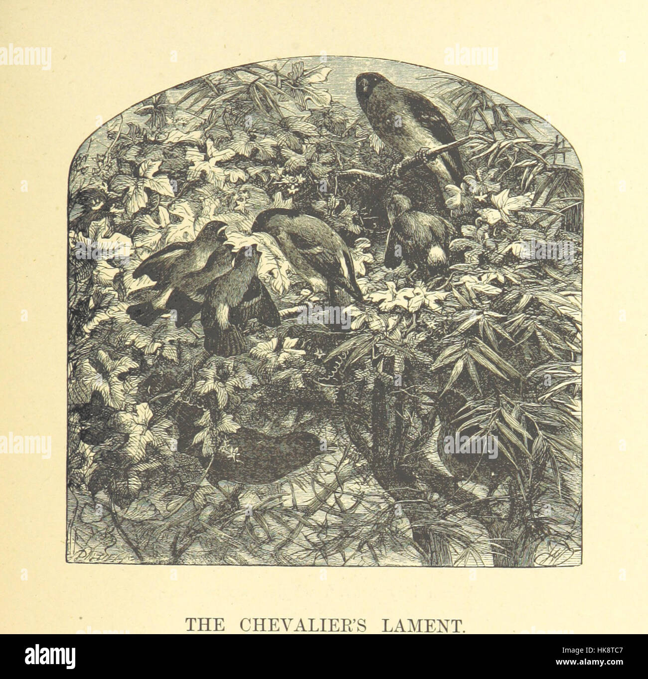 Image from 'The Illustrated Family Burns', featuring an original memoir ...