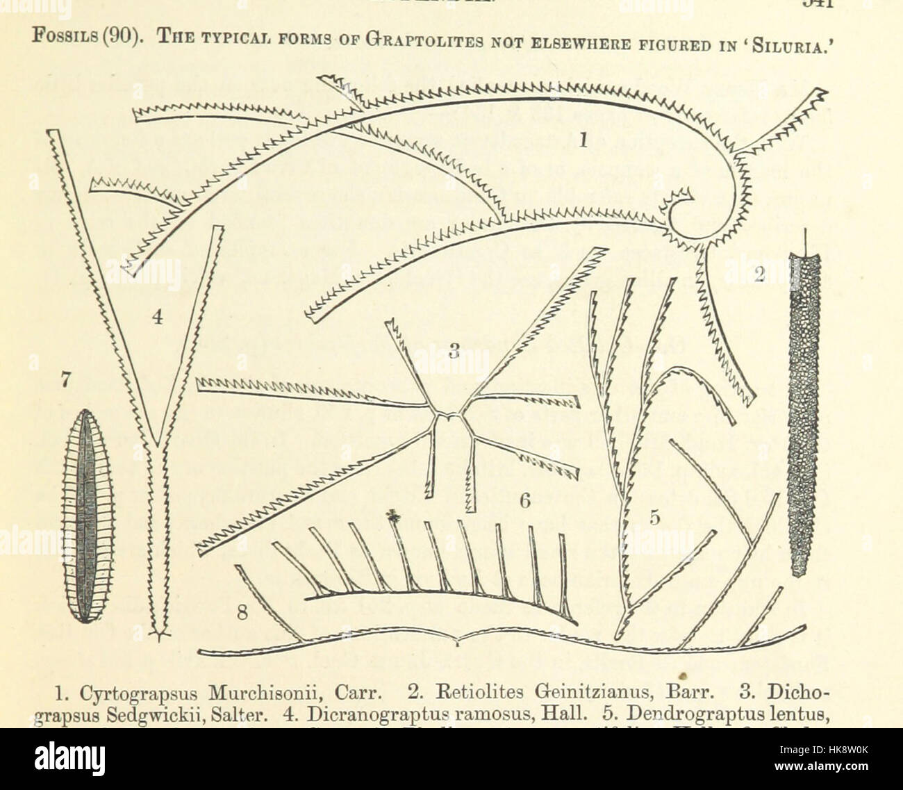 Image from page 571 of 'Siluria', geological history, Silurian period ...