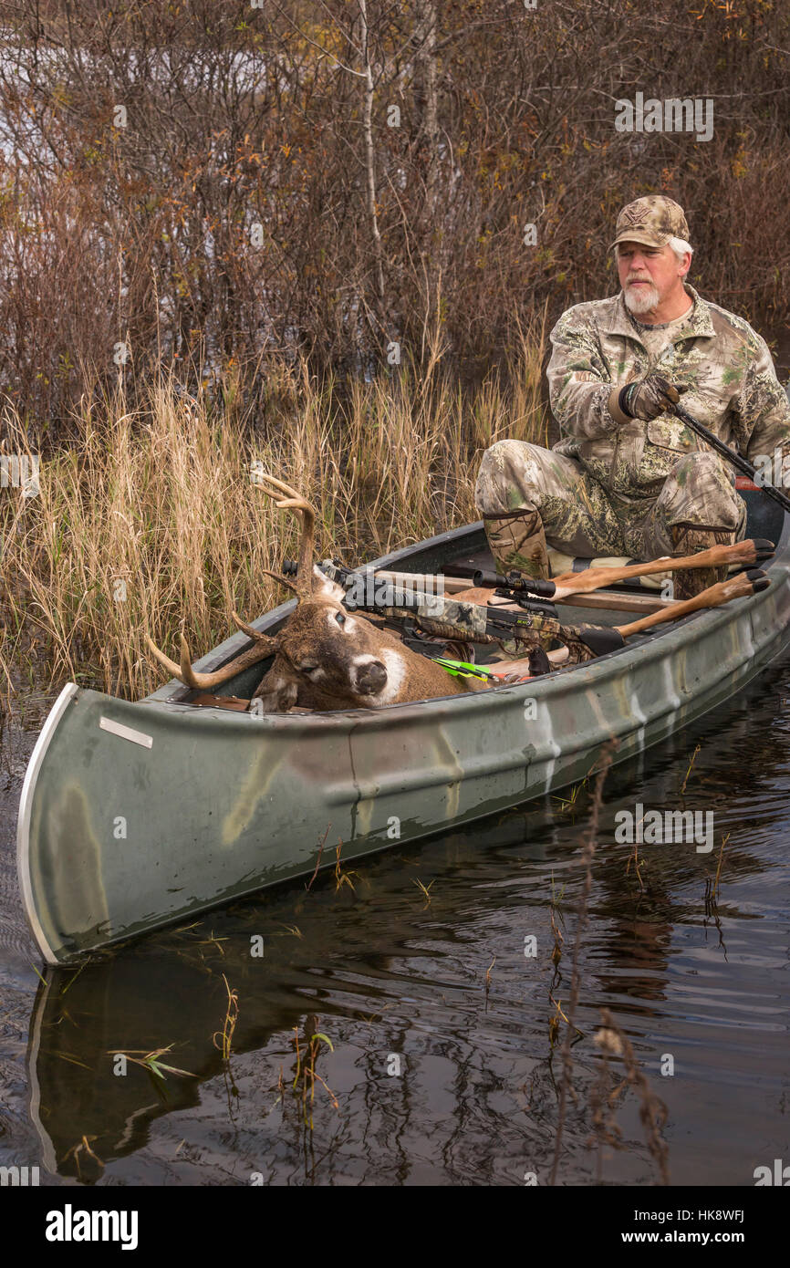 Successful bowhunter returning, in a canoe, with his 8-point buck Stock ...