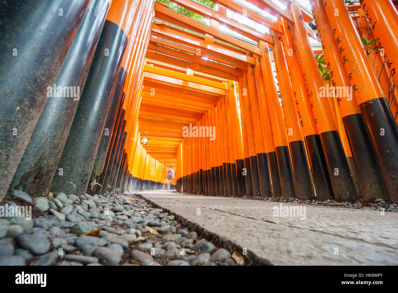 Torii gates in Fushimi Inari Shrine, Kyoto Stock Photo - Alamy