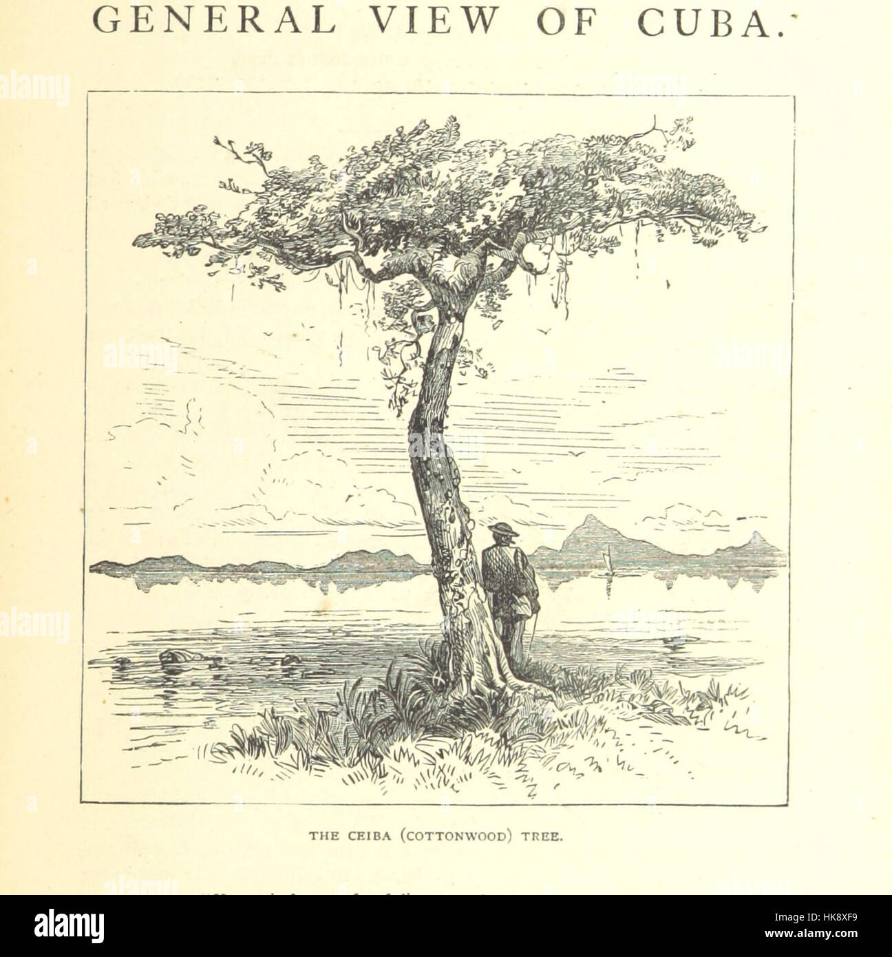 Image from 'Cuba with pen and pencil', featuring illustrations and ...