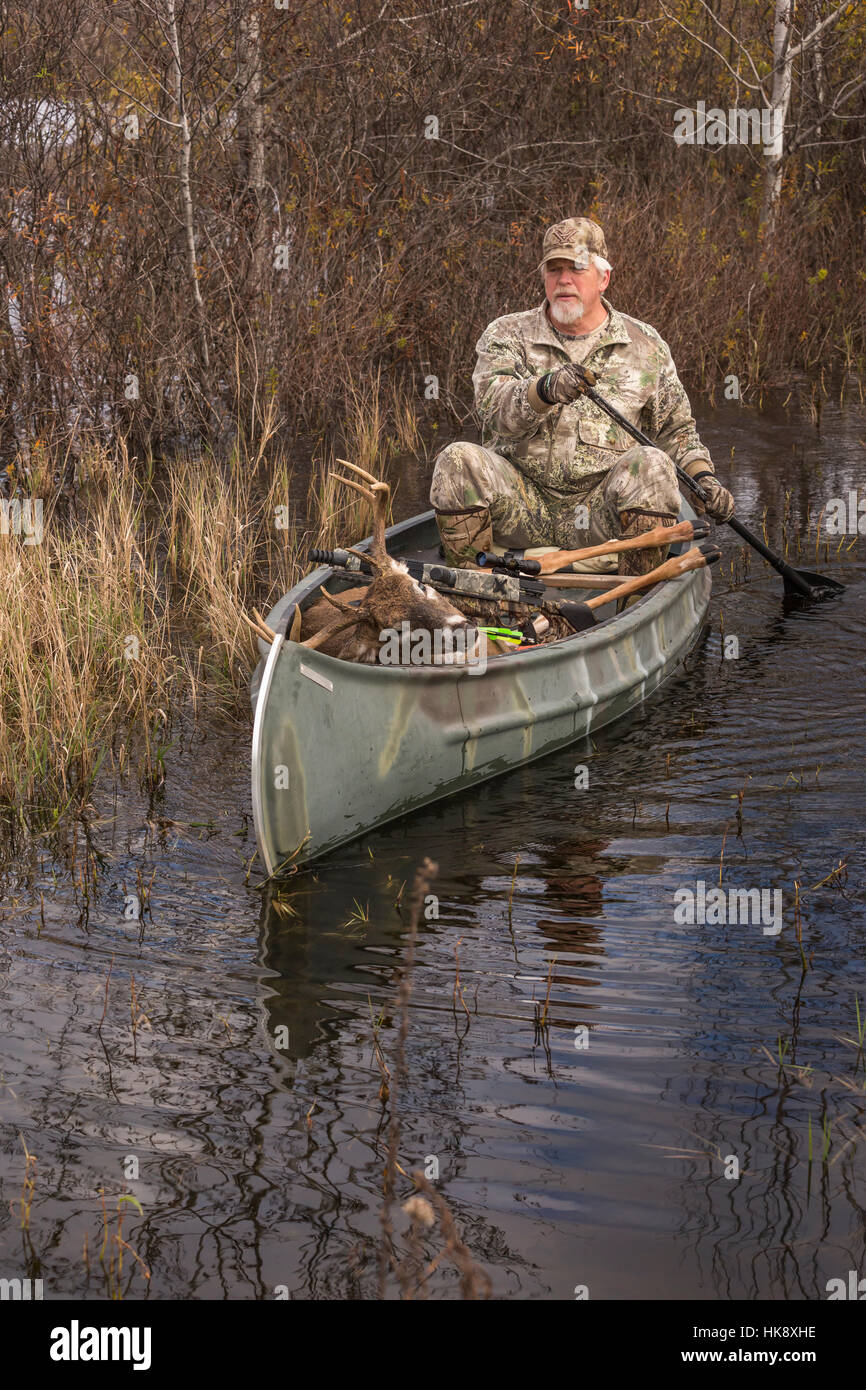 Successful bowhunter returning, in a canoe, with his 8-point buck Stock ...