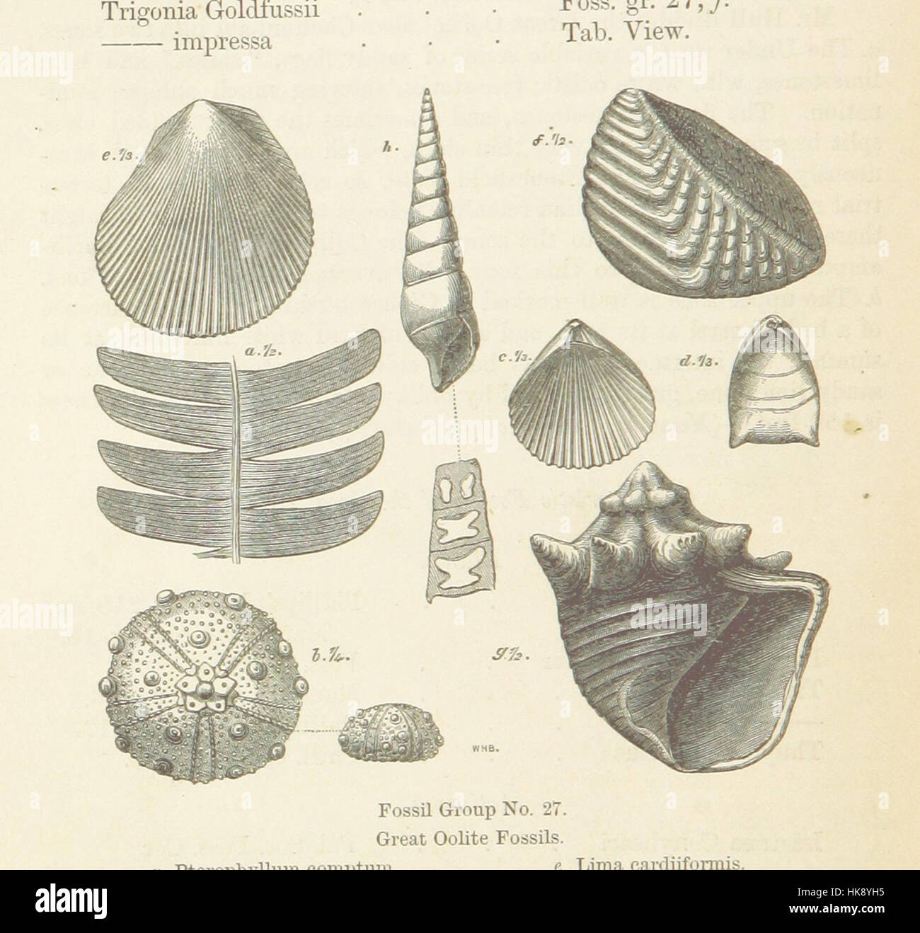 Image from 'The Student's Manual of Geology', providing geological ...