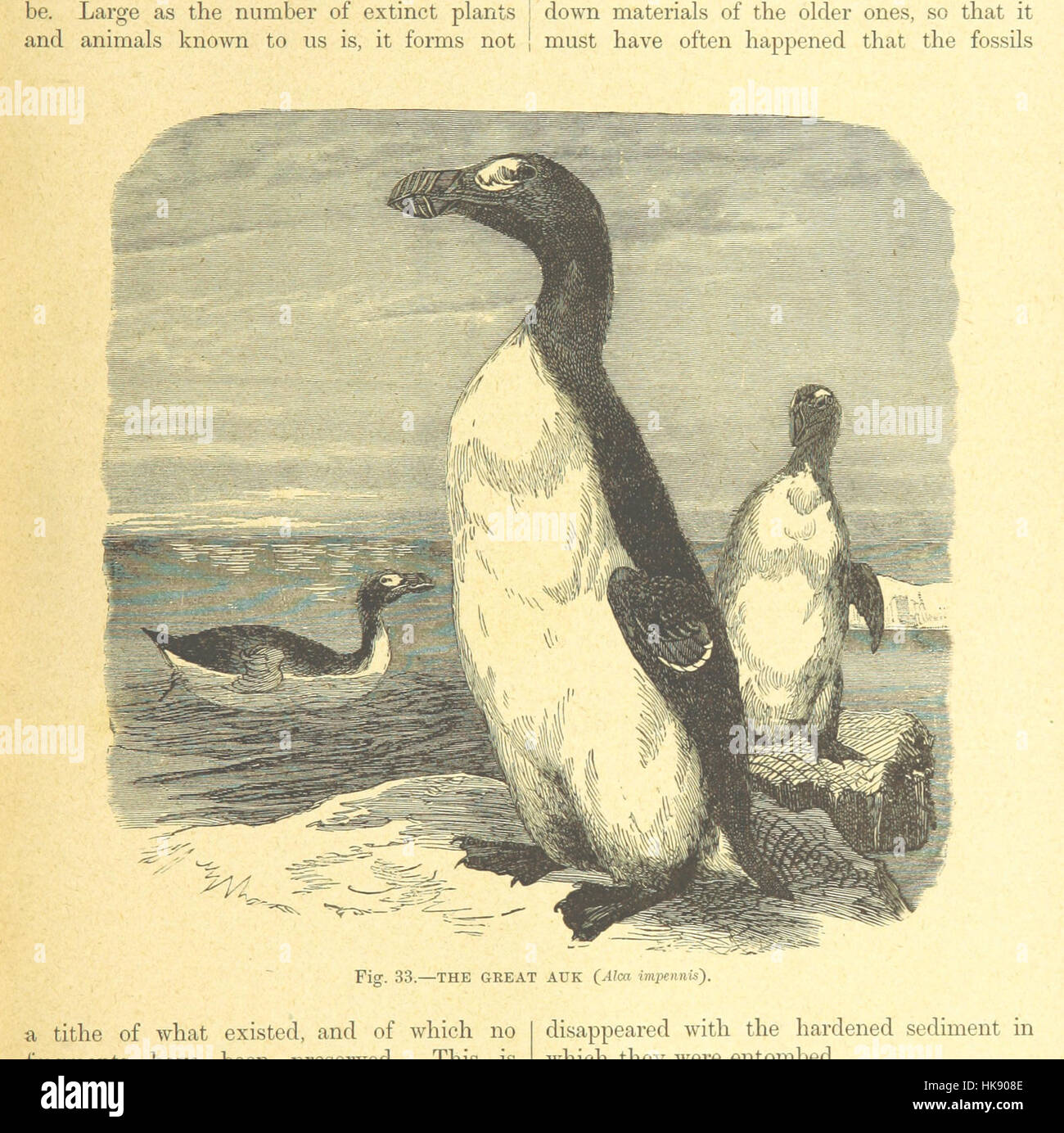 The image from '[Our Earth and its Story]' explores the physical ...