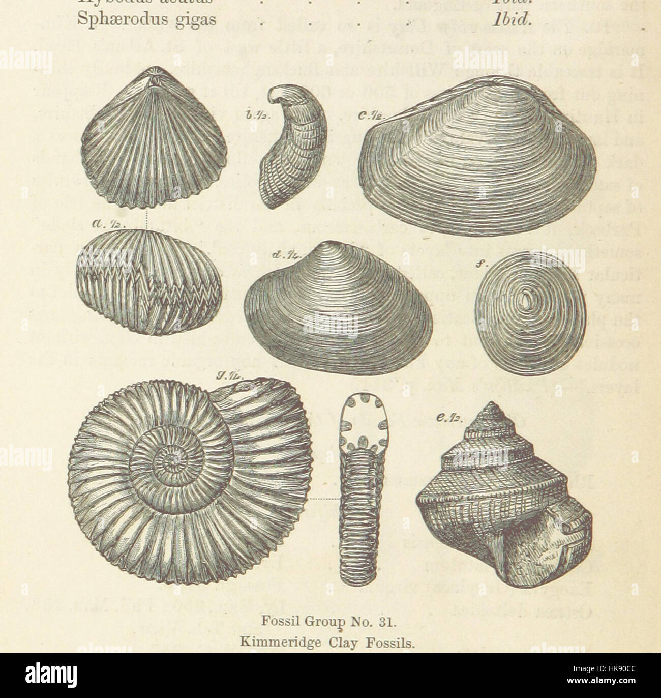 Image from 'The Student's Manual of Geology,' illustrating key ...