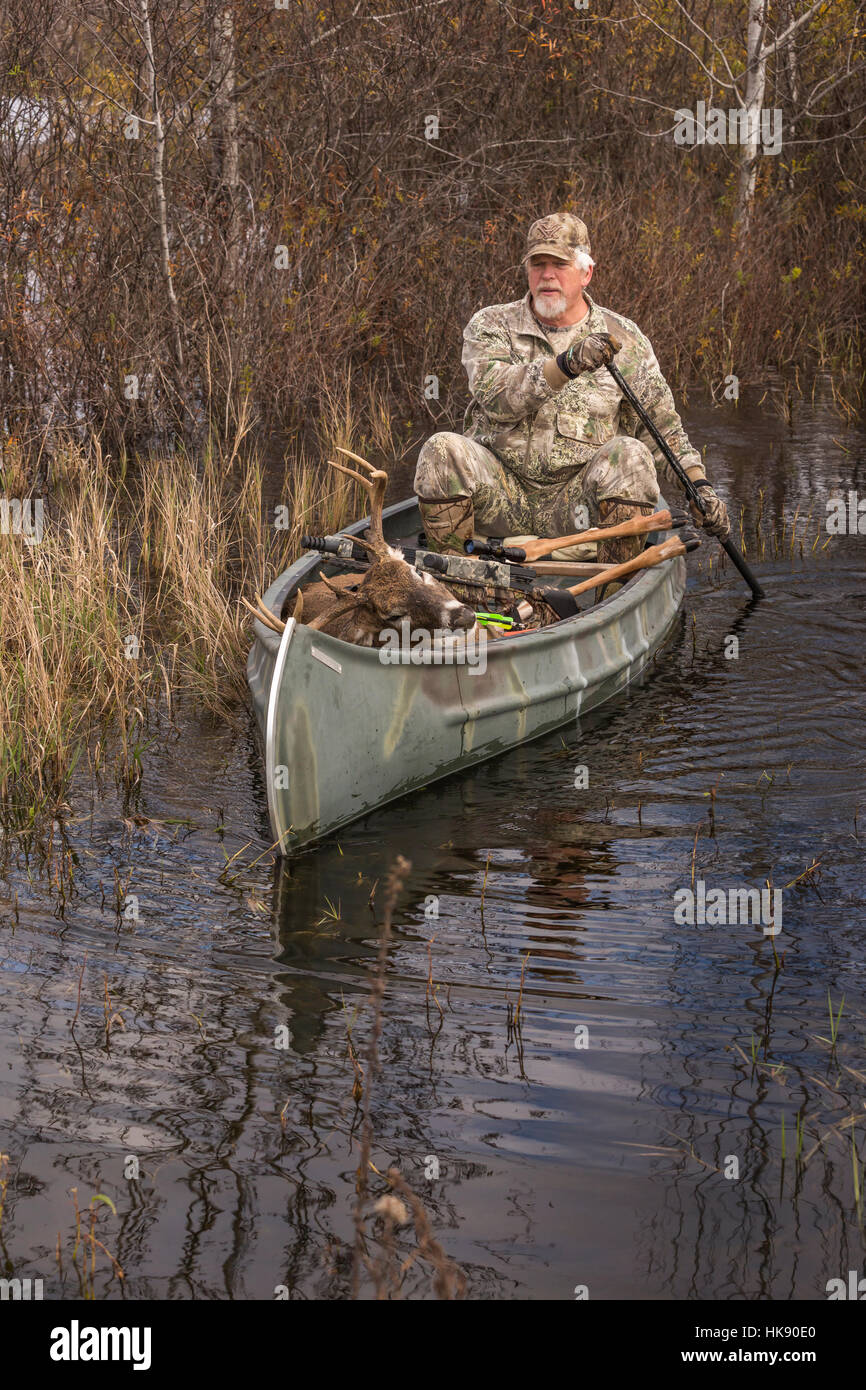 Successful bowhunter returning, in a canoe, with his 8-point buck Stock ...