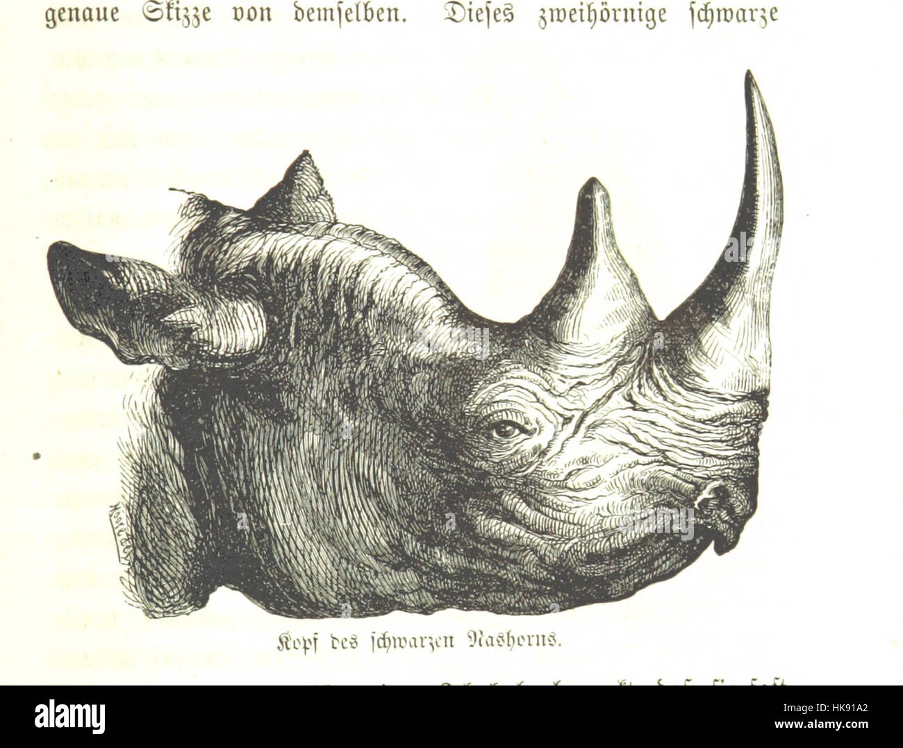 Vintage becken hi-res stock photography and images - Alamy