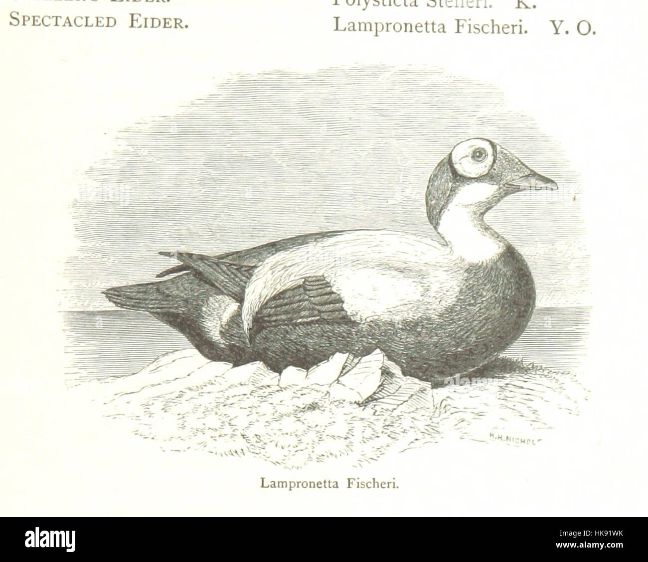 Image from page 633 of 'Alaska and its Resources,' detailing the ...