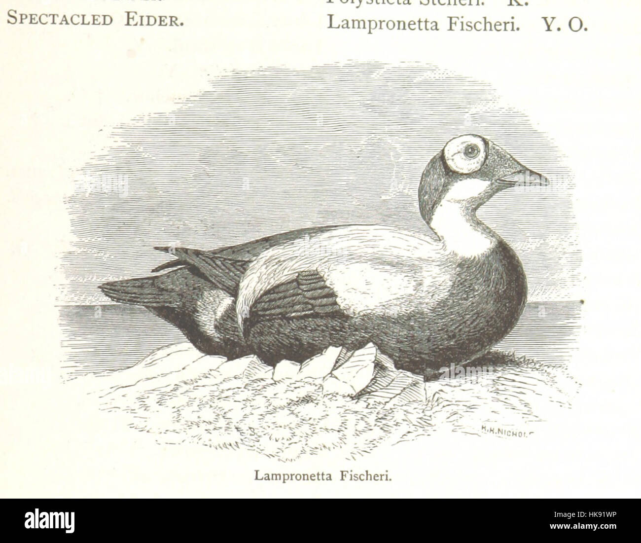 Image from 'Alaska and its Resources,' depicting key aspects of Alaska ...