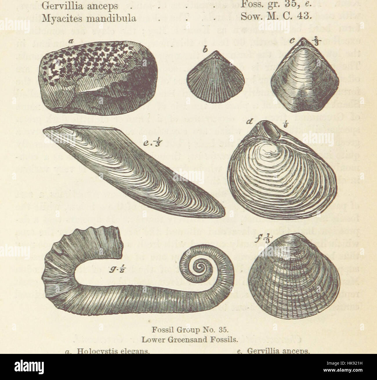 Image taken from page 636 of '[The Student's Manual of Geology],' an ...