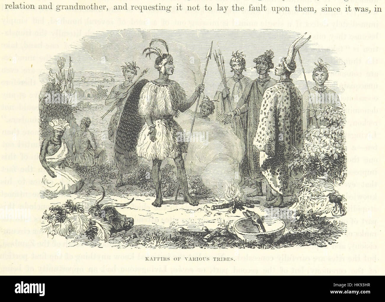 Principal varieties of mankind hi-res stock photography and images - Alamy