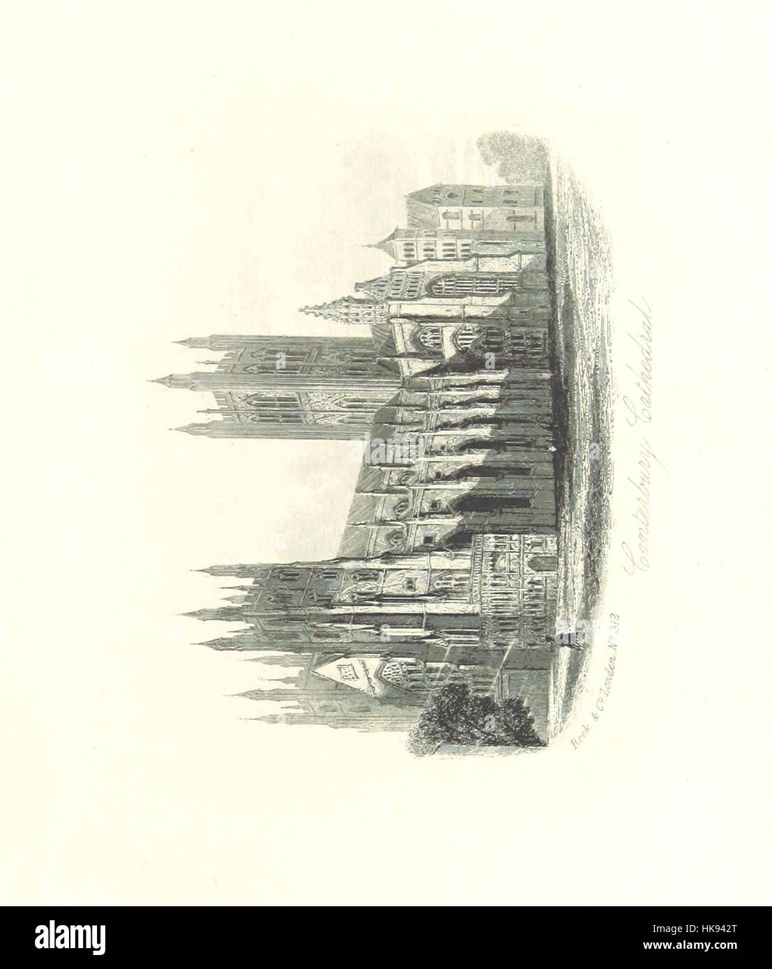 Image from page 67 of 'The Saxon Dynasty', illustrating the pedigree of ...