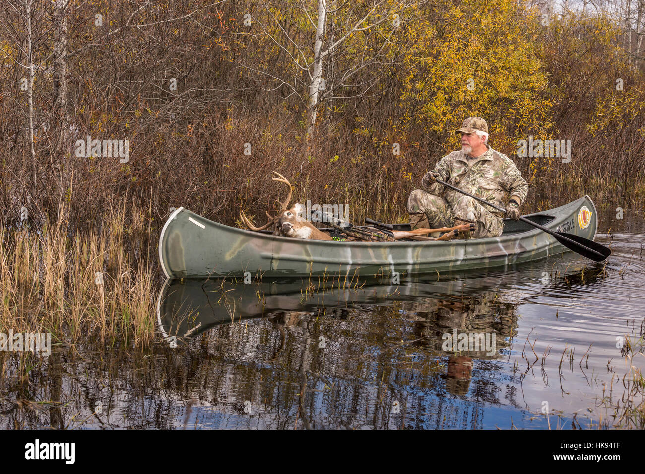 Successful bowhunter returning, in a canoe, with his 8-point buck Stock ...