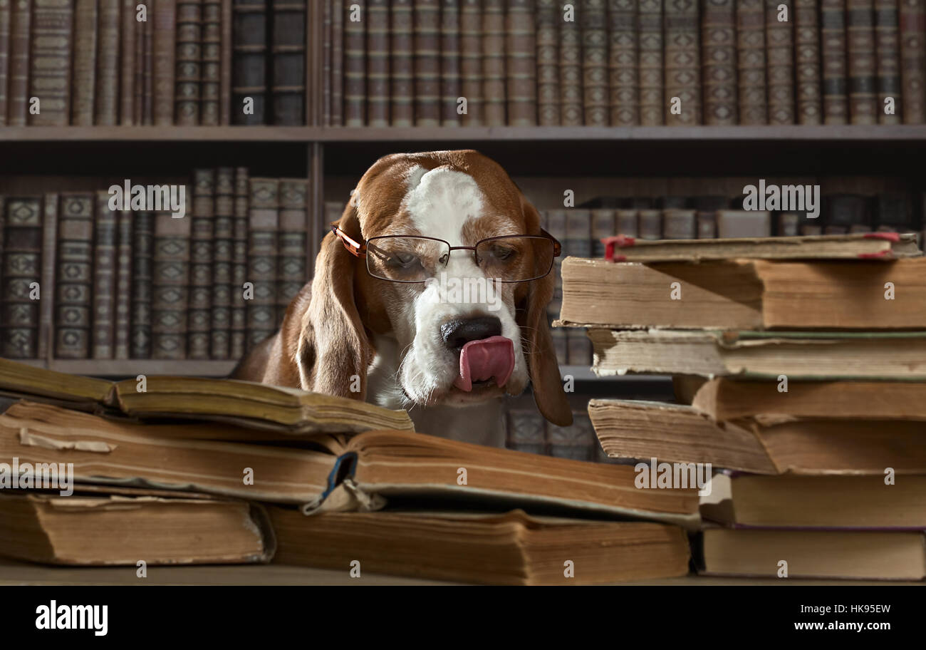 Smart literature hi-res stock photography and images - Alamy