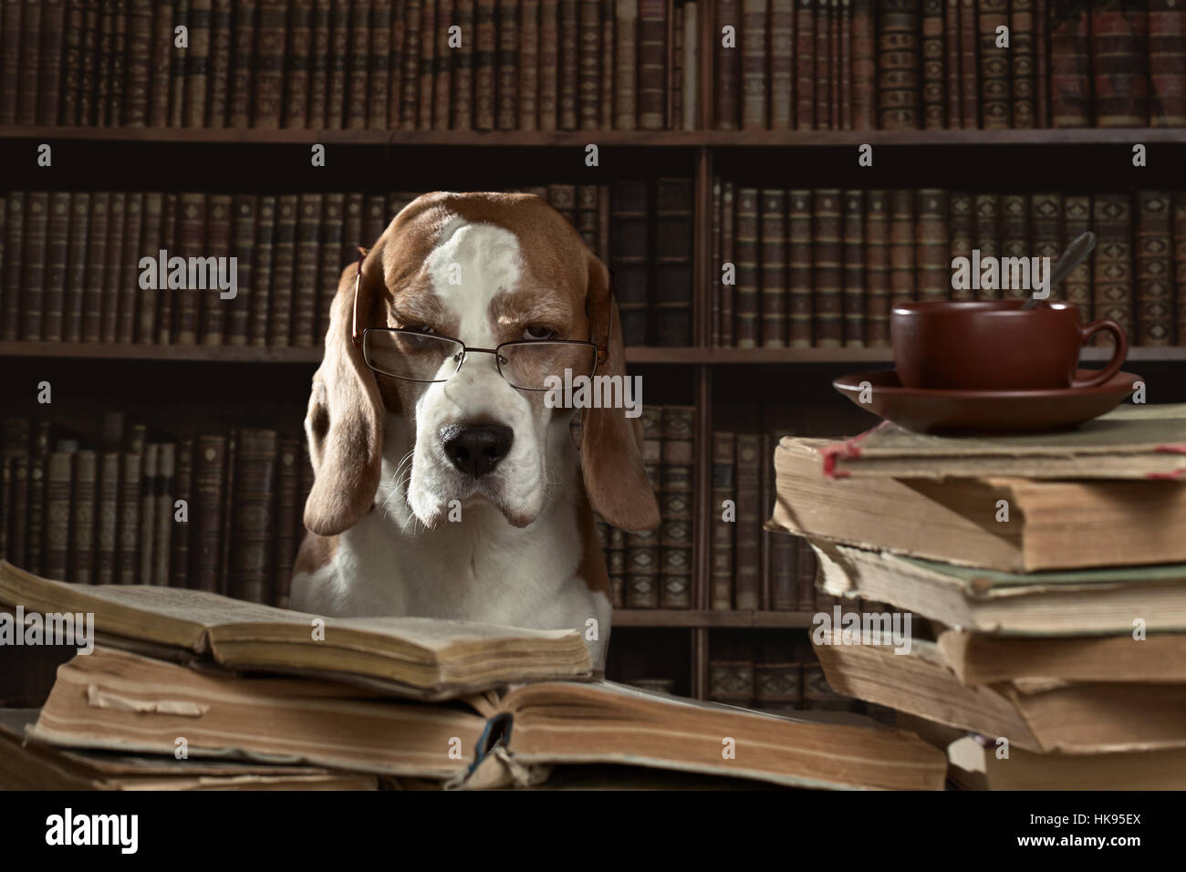 Smart literature hi-res stock photography and images - Alamy
