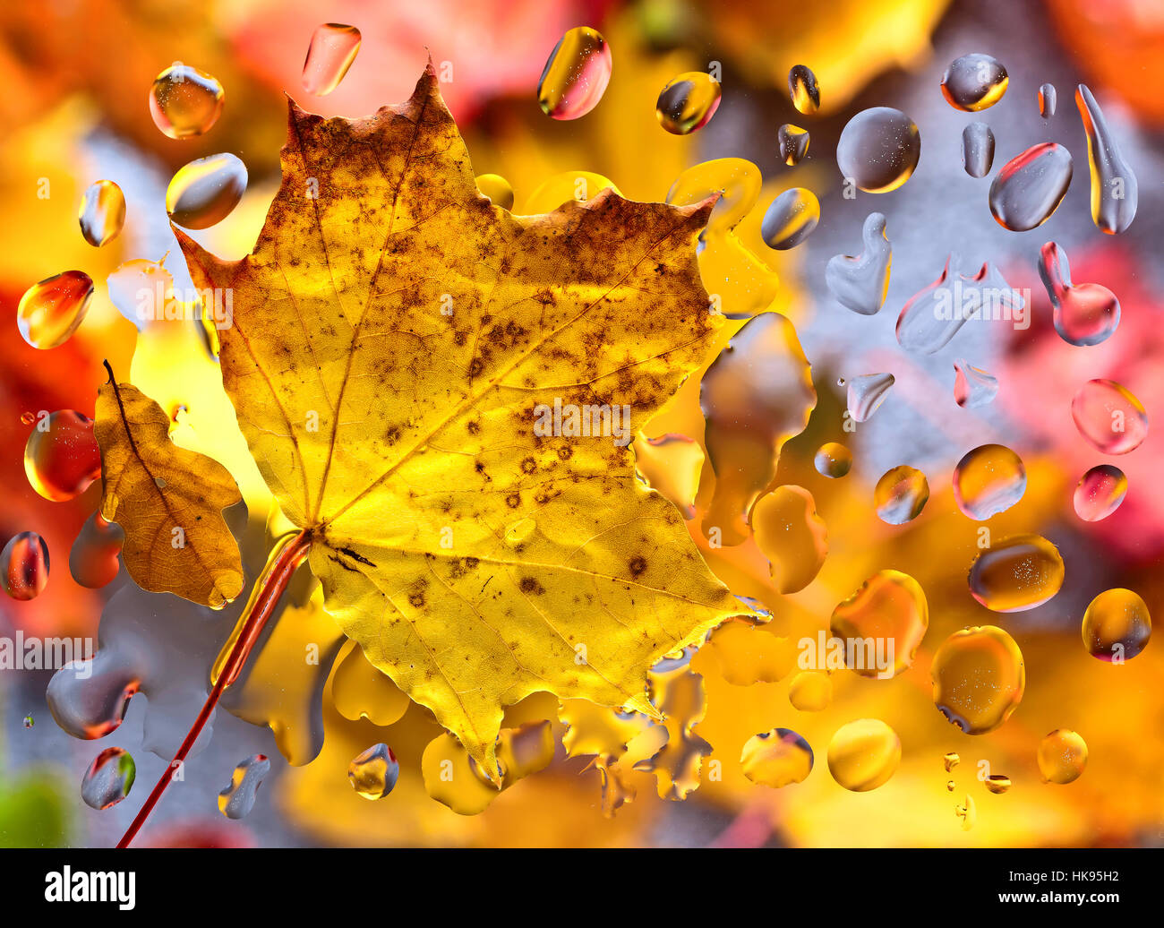 The Autumn background with leaves and rain water drops Stock Photo - Alamy