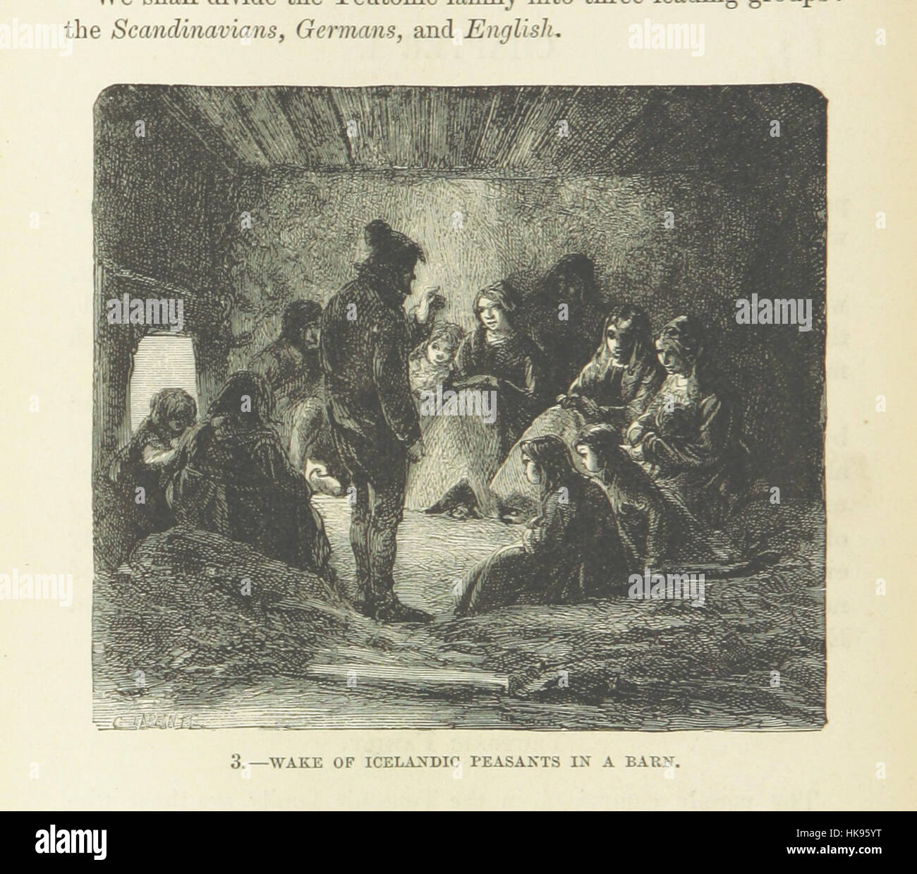 Illustration from 'The Human Race', showcasing human evolution and ...